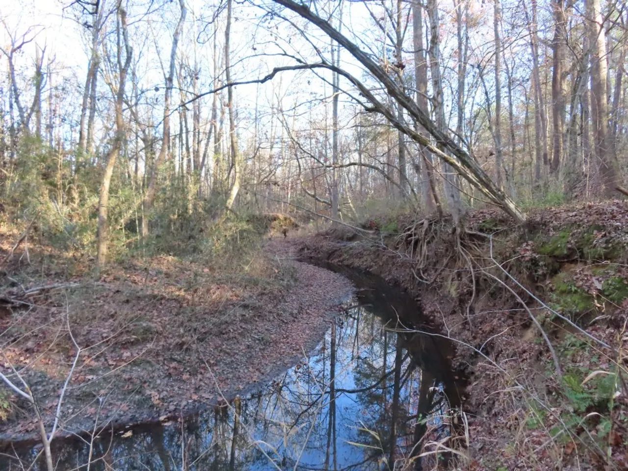 Bull Run Road, White Oak, SC 29180 | LandWatch