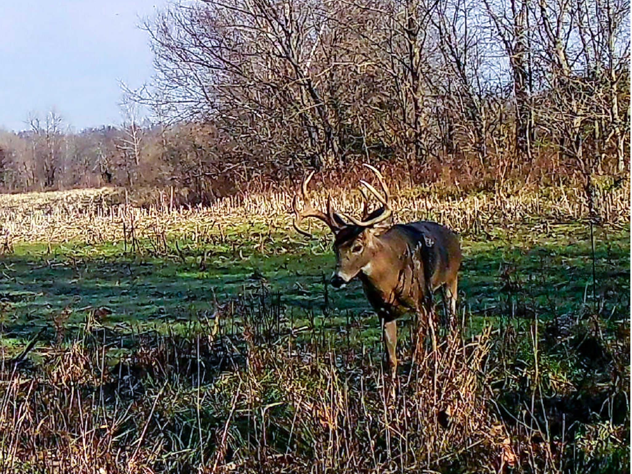 County Highway 7, Lot #WP001, Geff, IL 62842 | LandWatch