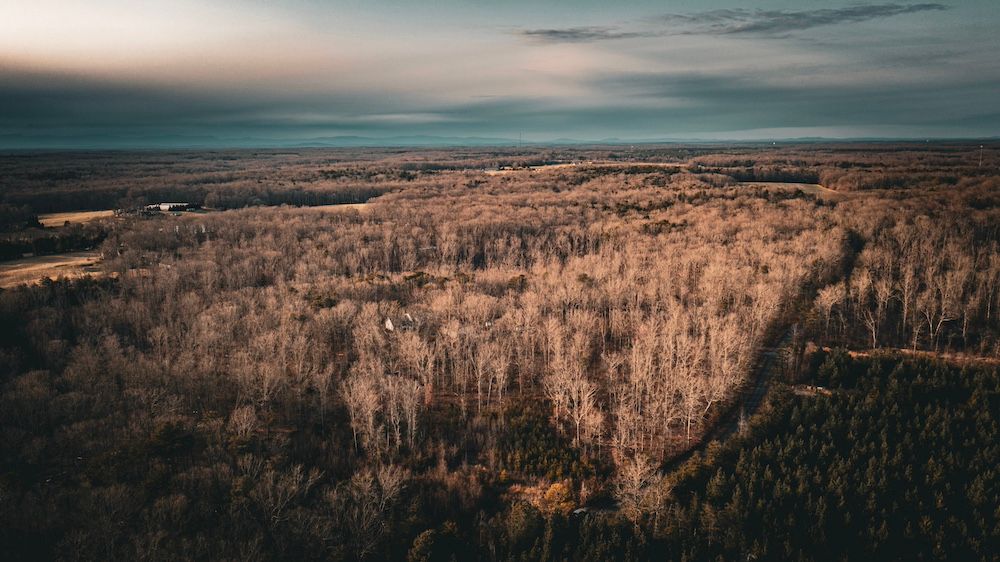 11024 Buckland Rd, Locust Grove, VA 22508 | LandWatch