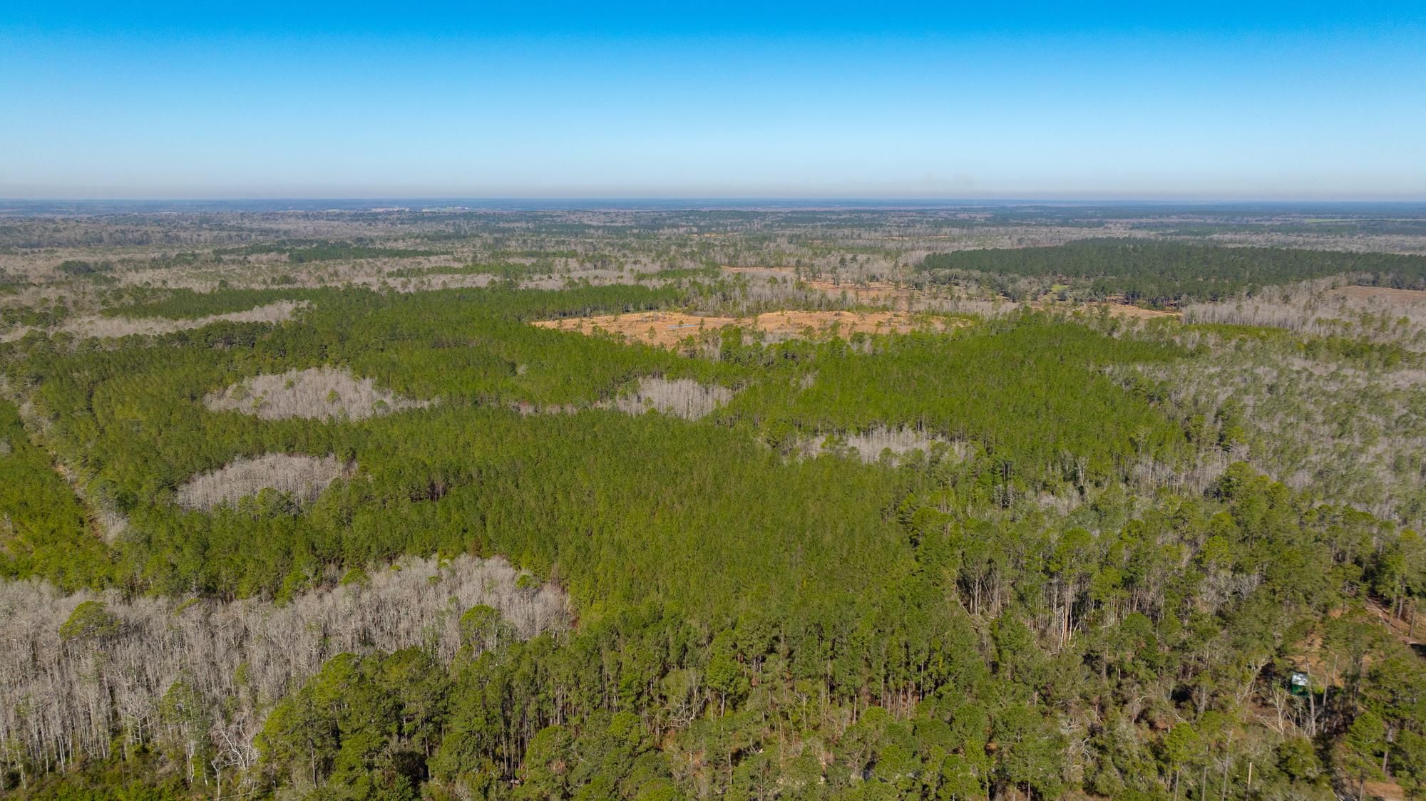Gum Swamp Rd, Greenville, FL 32331 | LandWatch