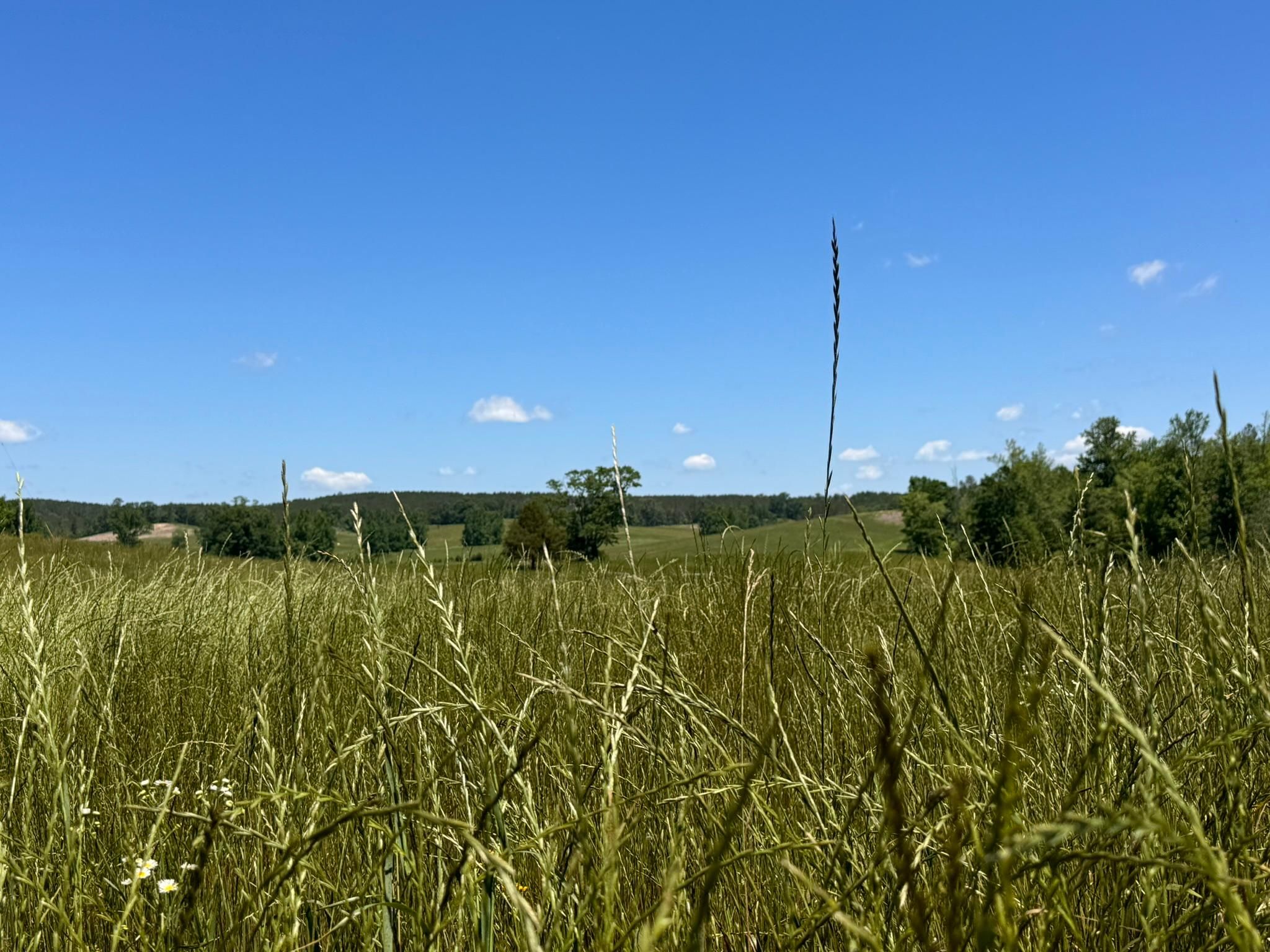 County Road 10, Winfield, AL 35594 | LandWatch