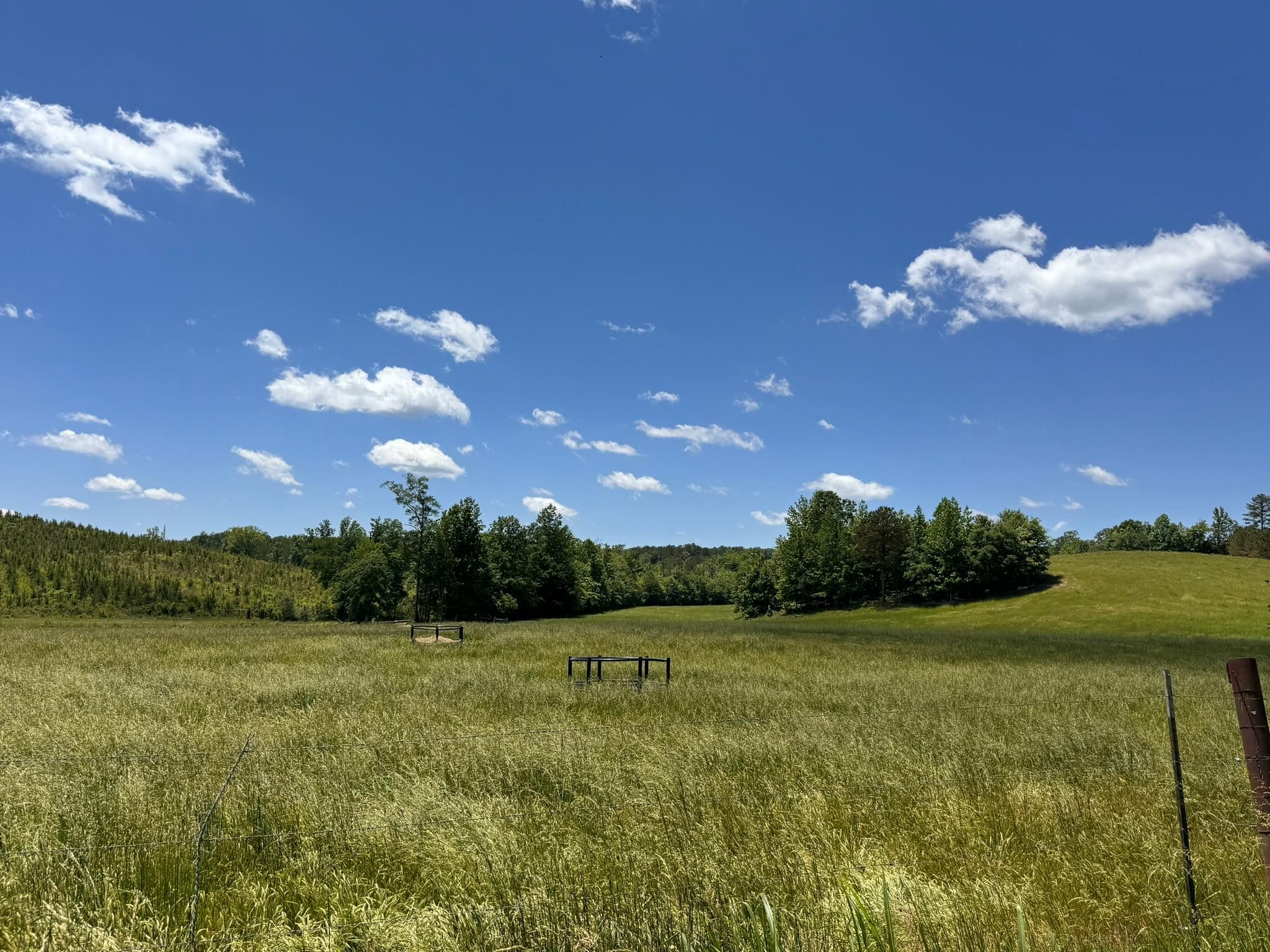 County Road 10, Winfield, AL 35594 | LandWatch