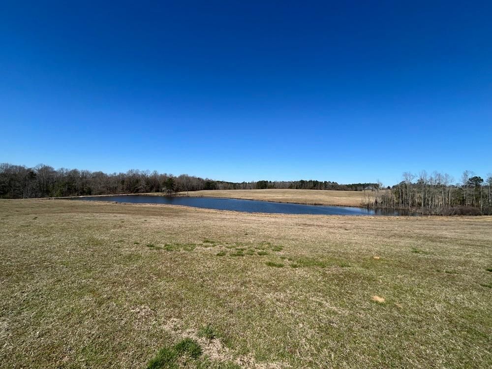 54.9 acres in Butler, GA, 31006 | LandWatch