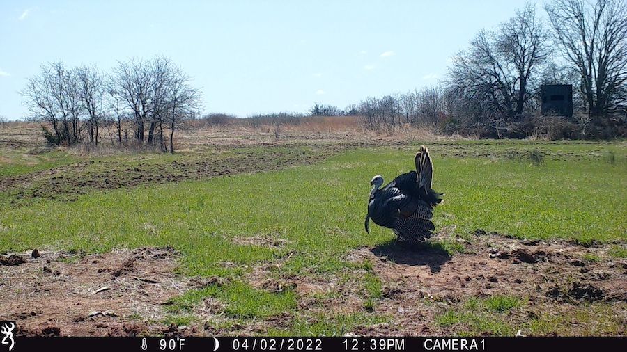 Parotte Rd, Lot#WP001, Agra, OK 74824 | LandWatch