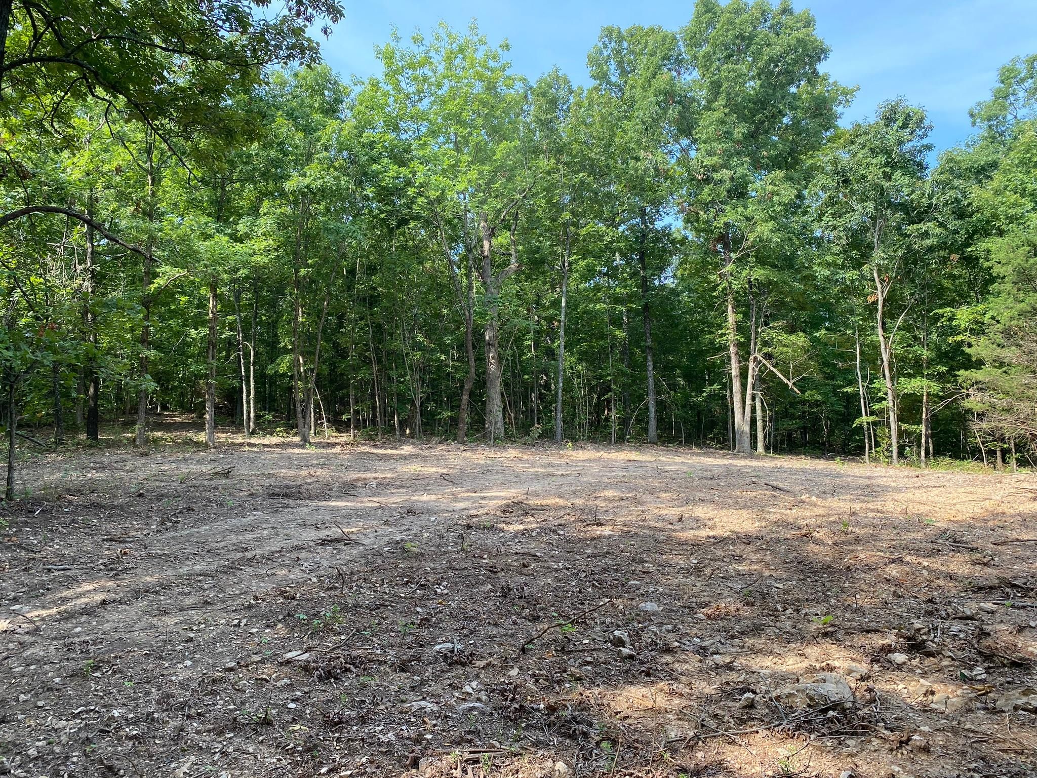 60 Ridge Road, Hardy, AR 72542 | MLS: 25009326 | LandWatch