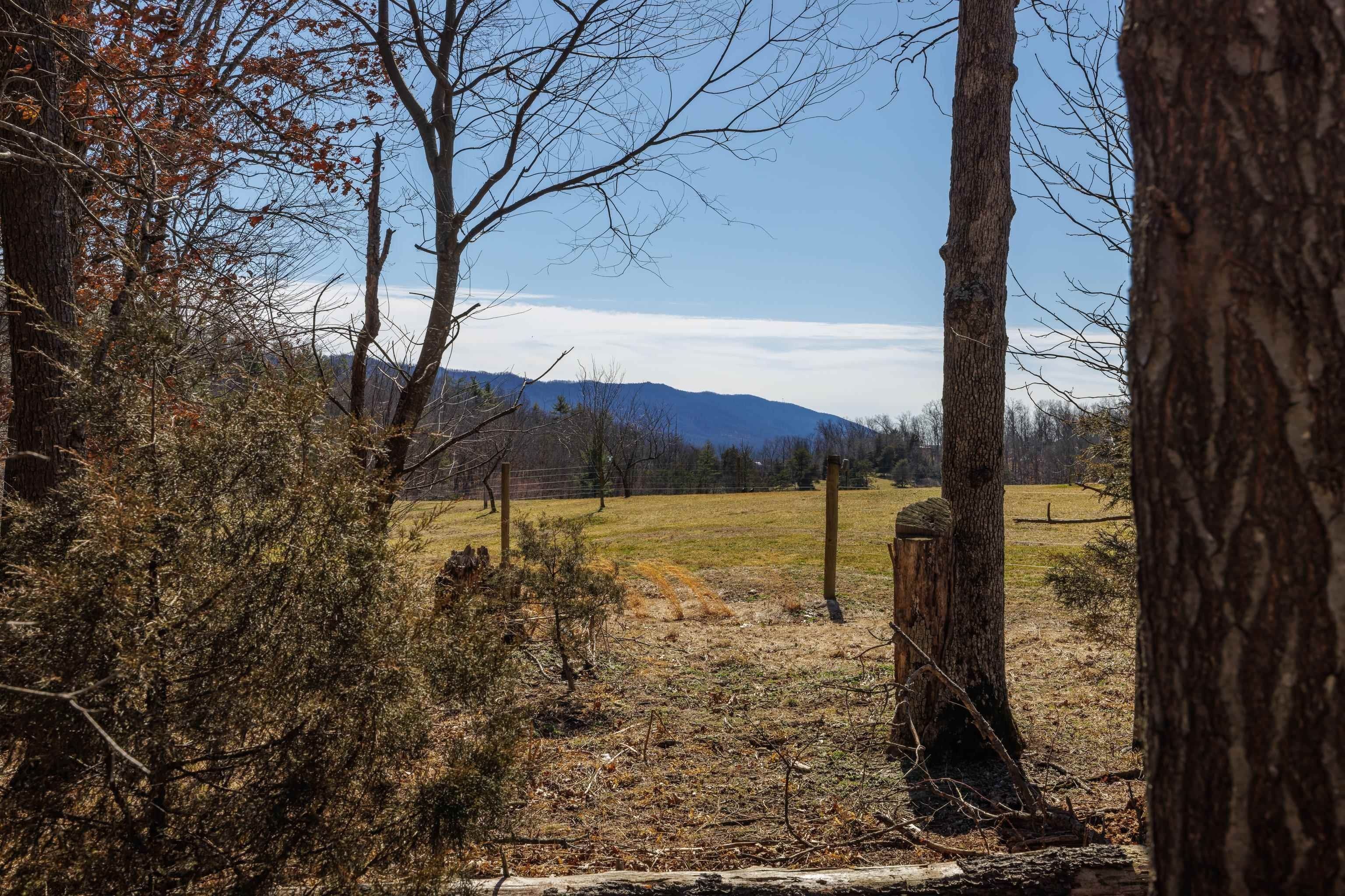 TBD HOLLOW RD, Fulks Run, VA 22830 | MLS: 661882 | LandWatch