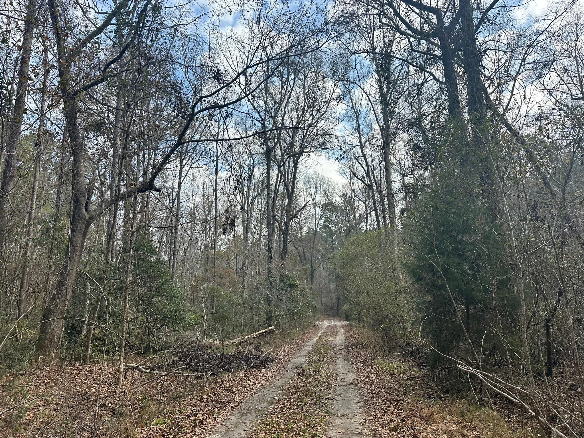 736 acres in Ehrhardt, SC, 29081 | LandWatch