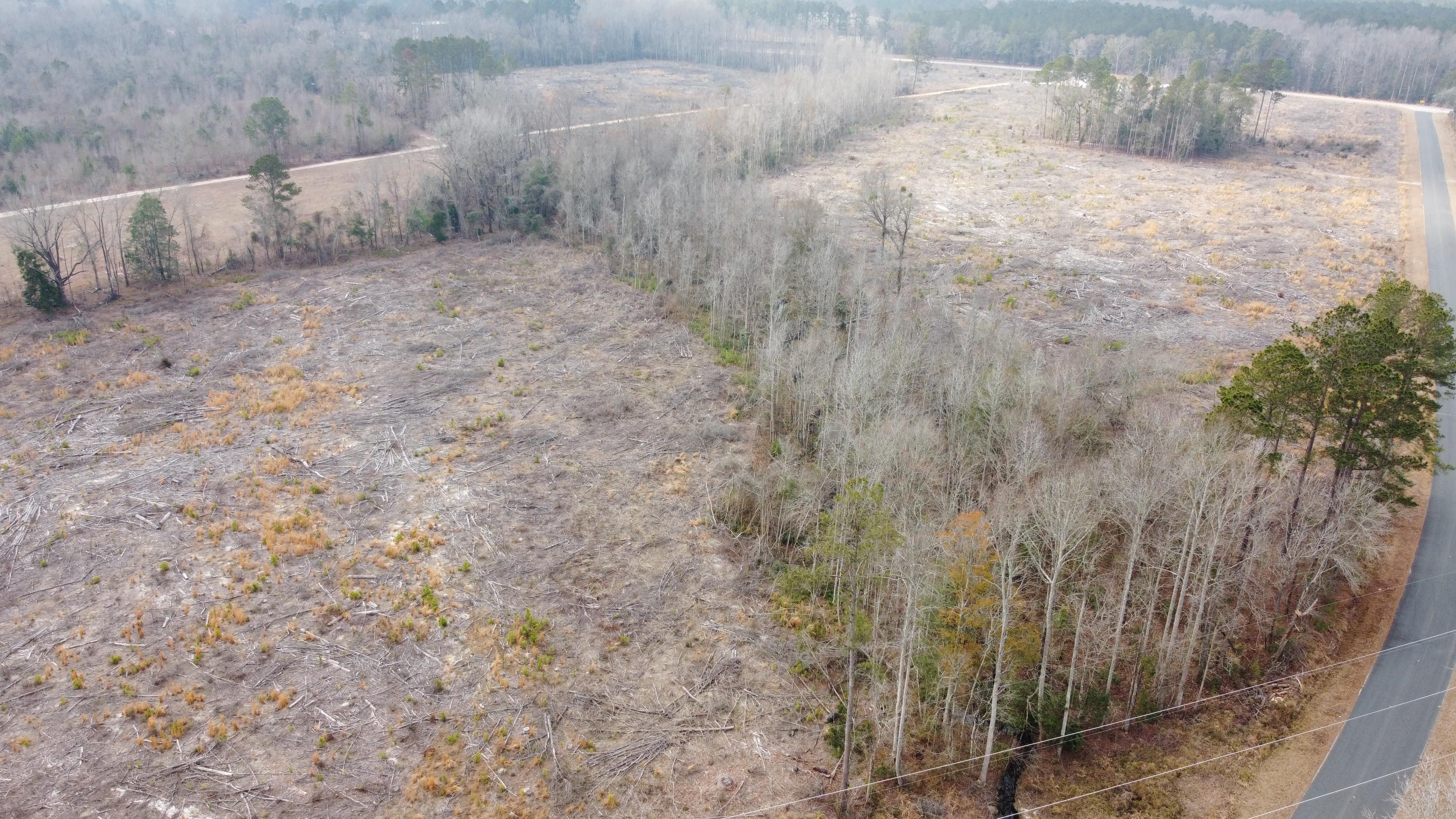 48 acres in Ehrhardt, SC, 29081 | LandWatch