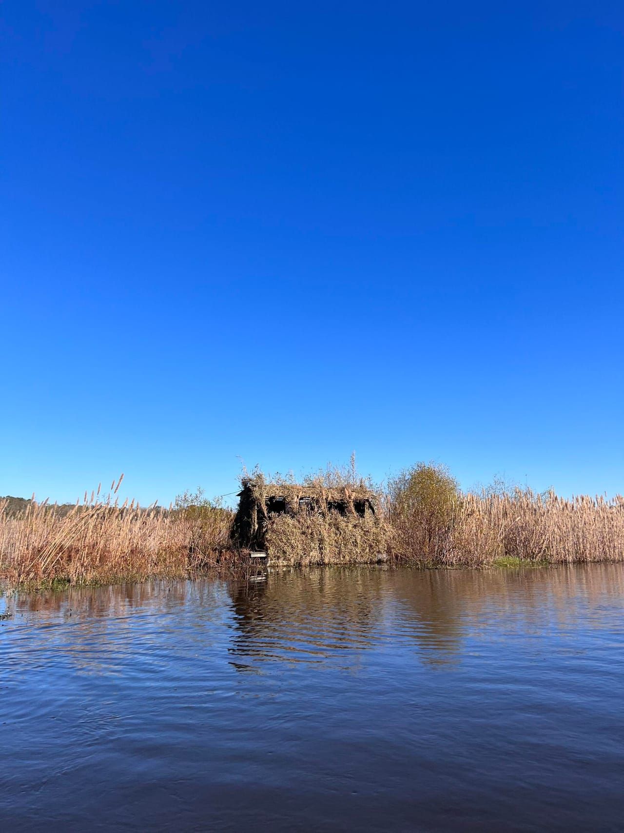 Bluffton Circle, Ivey, GA 31031 | LandWatch