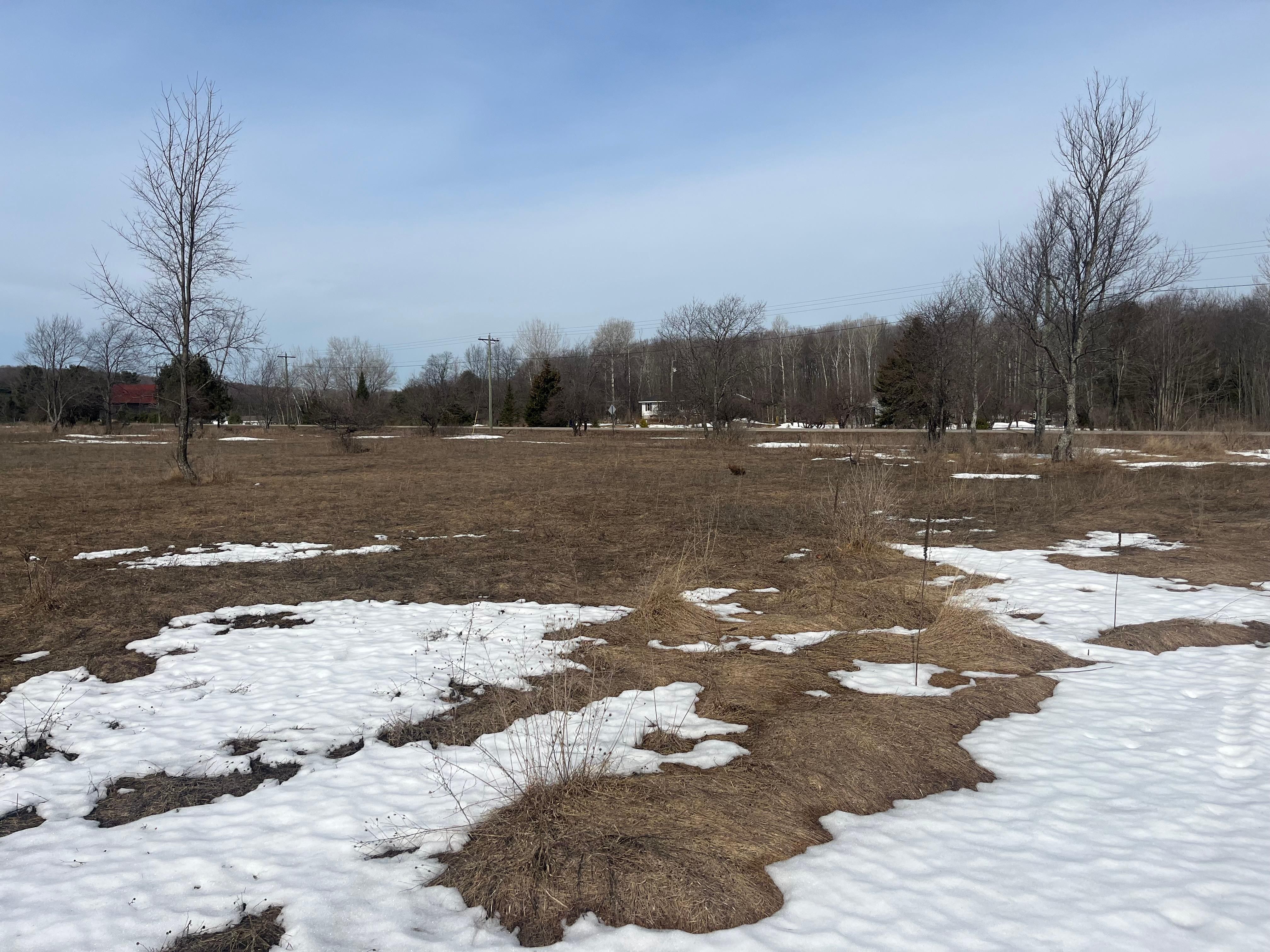 981 W Van Rd, Pellston, MI 49769 | LandWatch