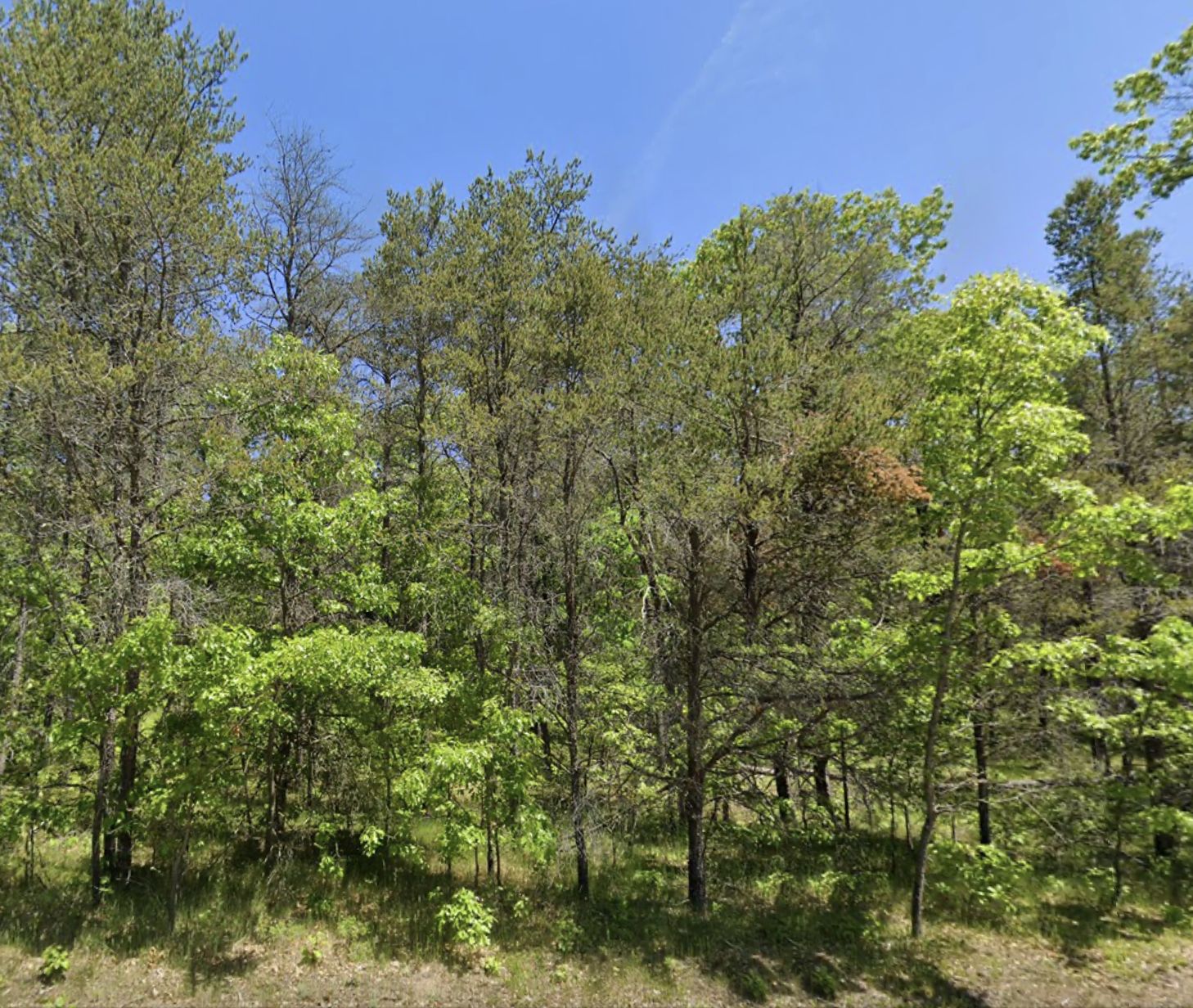 Westwood Dr, Oscoda, MI 48750 | LandWatch