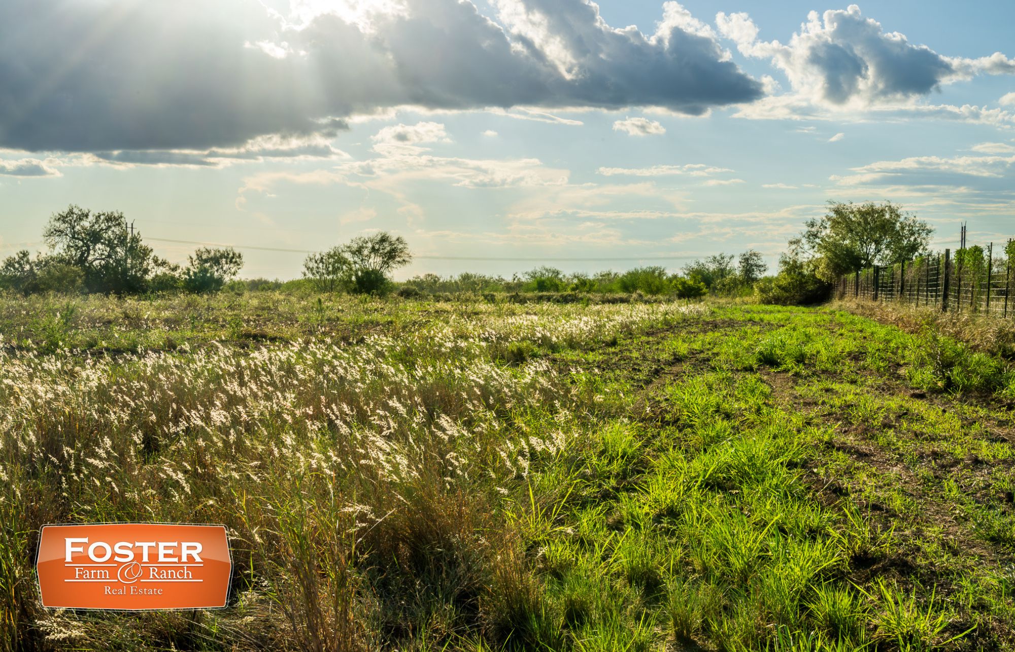45 acres in Linn, TX, 78563 | LandWatch