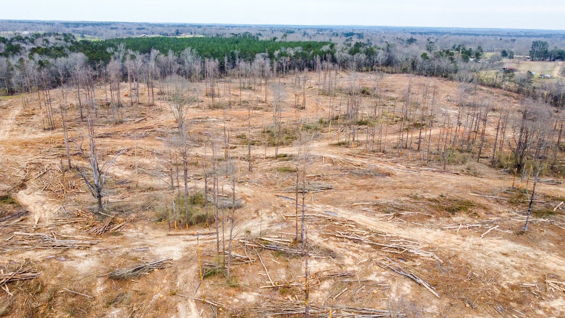52 Acres, Simpson County, MS, Magee, MS 39114 | LandWatch