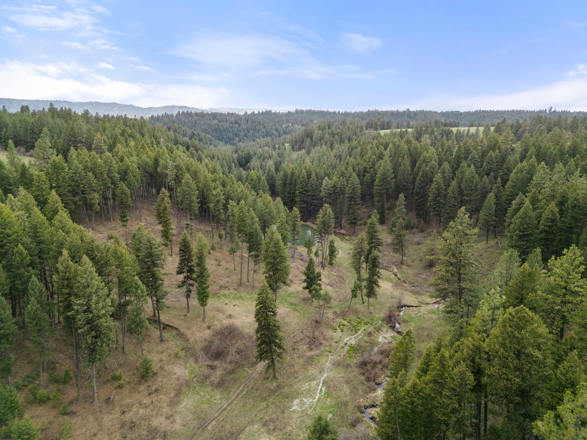 TBD Rieman, Keuterville, ID 83522 | LandWatch
