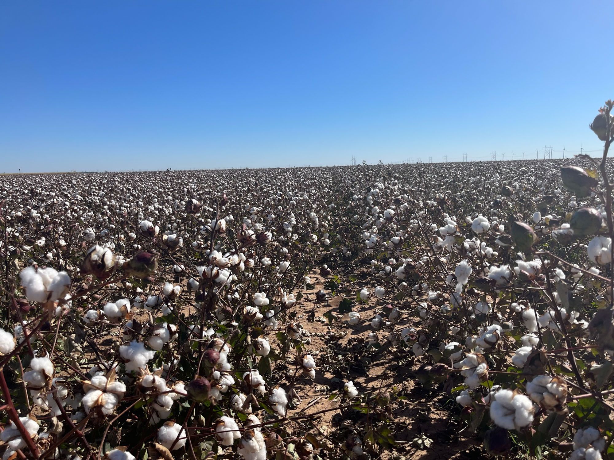 County Road 293, Dougherty, TX 79231 | LandWatch