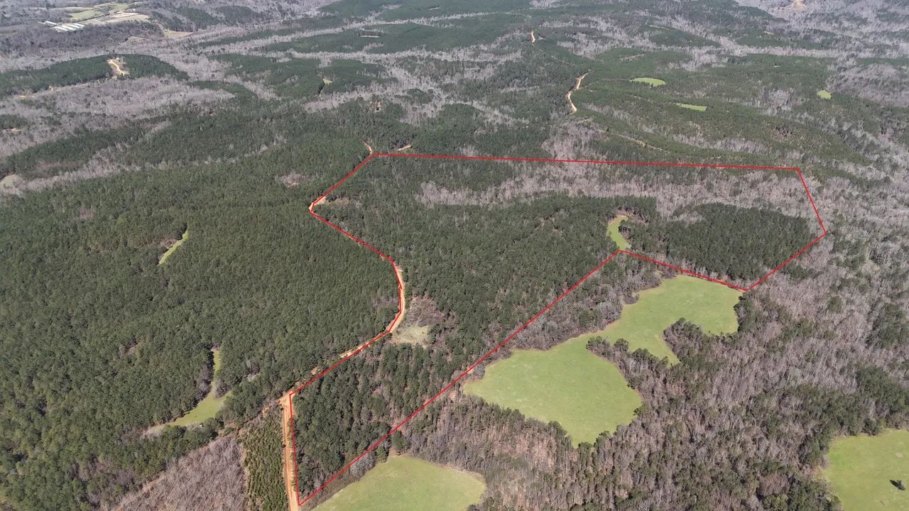 Highland Road, Gordo, AL 35466 | LandWatch