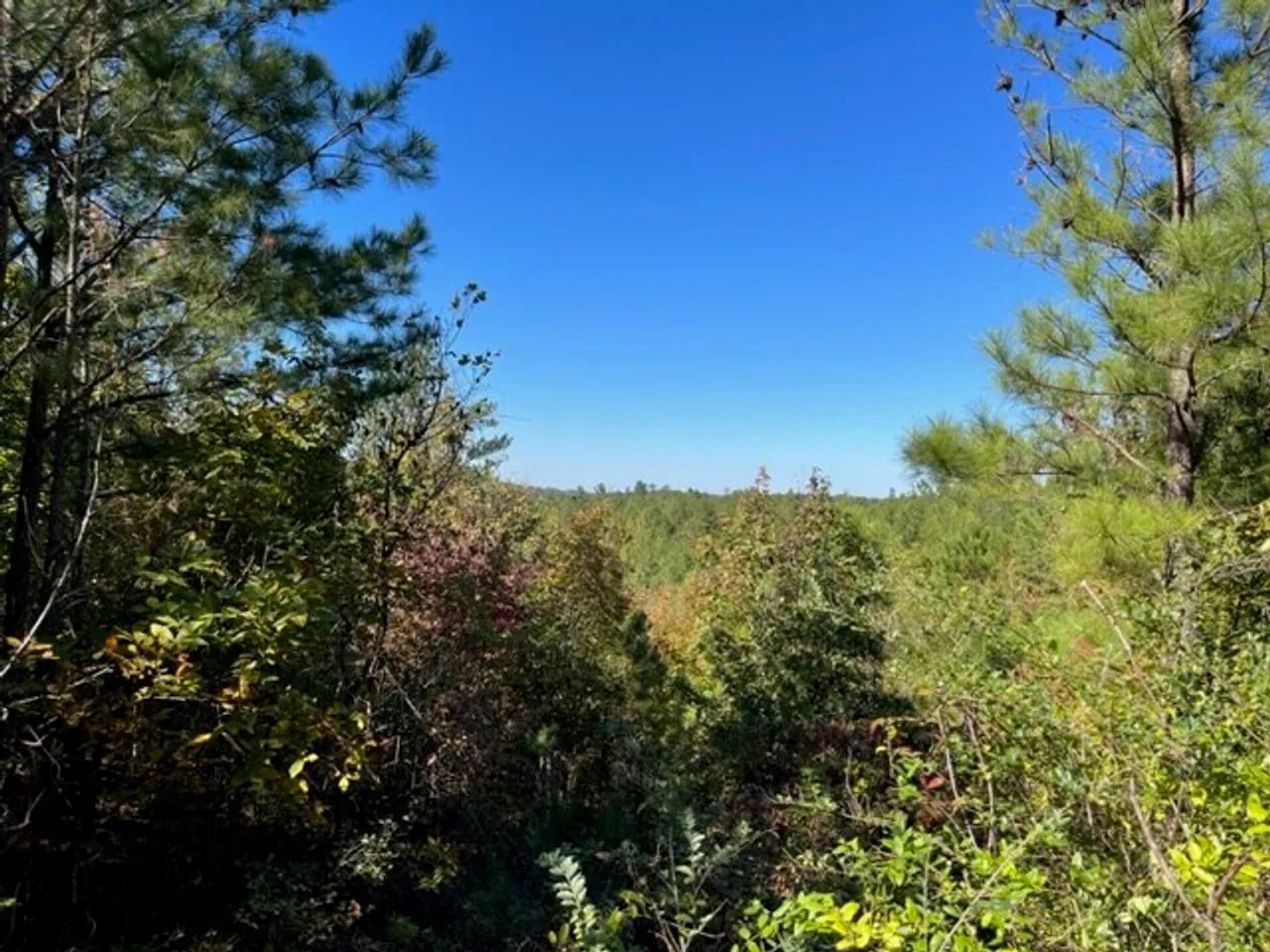 Hwy 140, Rydal, GA 30171 | LandWatch