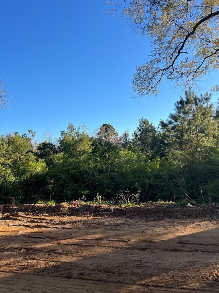 0 Stream Rd, Alma, GA 31510 | MLS: 23188 | LandWatch