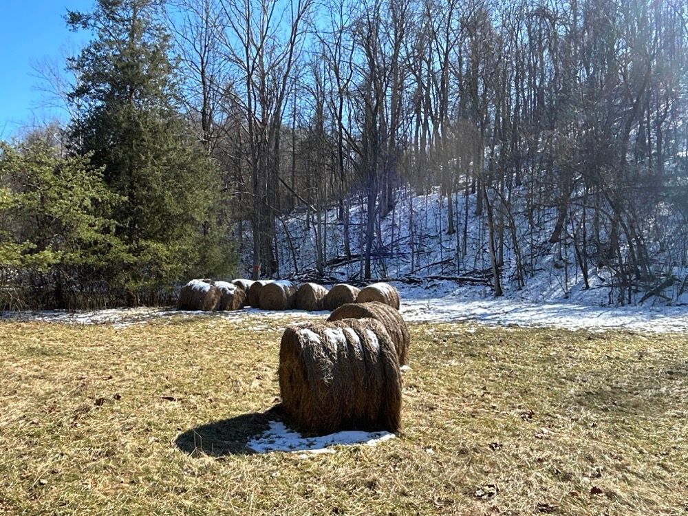 Johns Creek Road Lot# Wp001, Crown City, OH 45623 | LandWatch