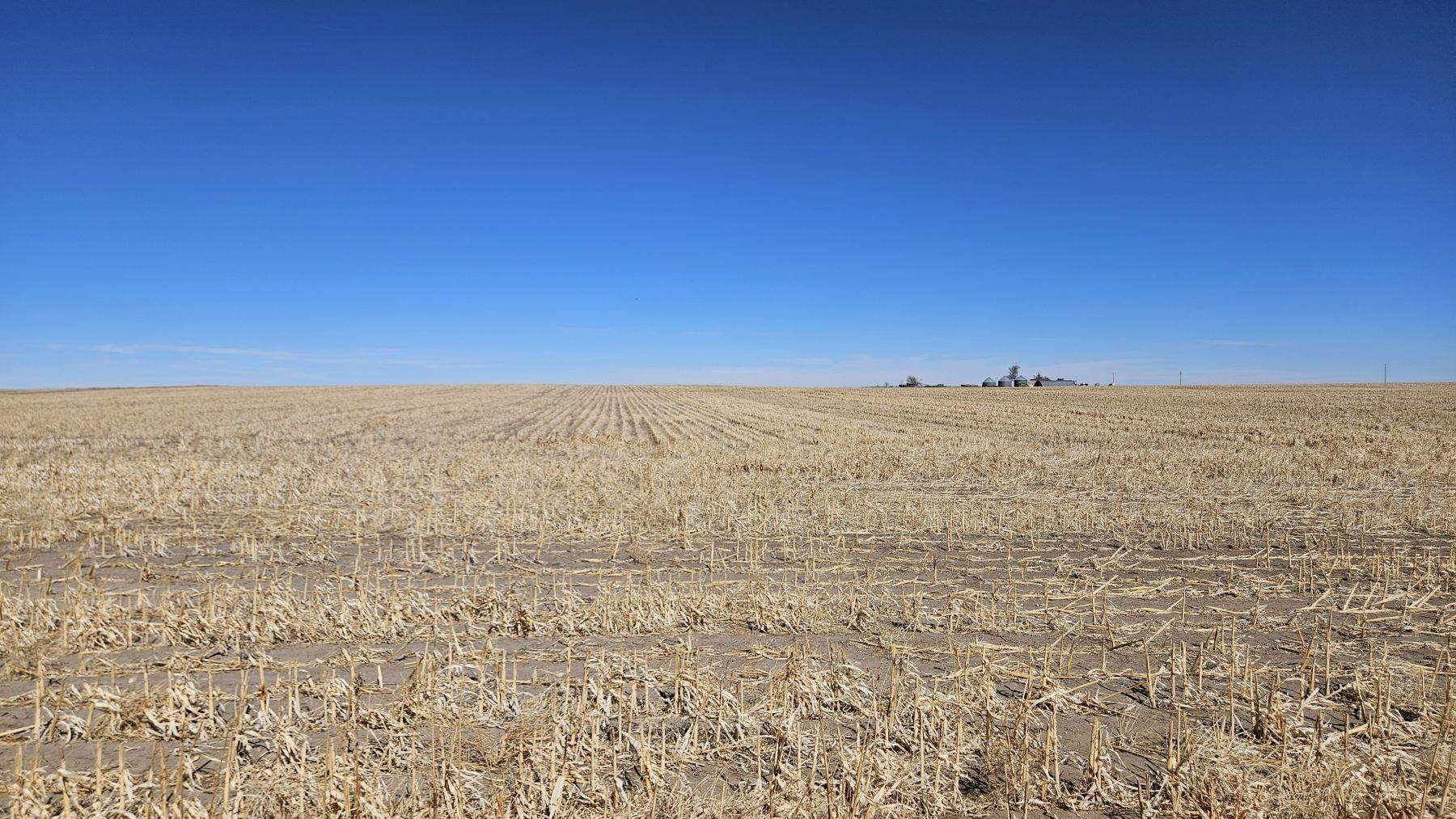 282 acres in Gurley, NE, 69141 | MLS: Frerichs Dryland #1 | LandWatch