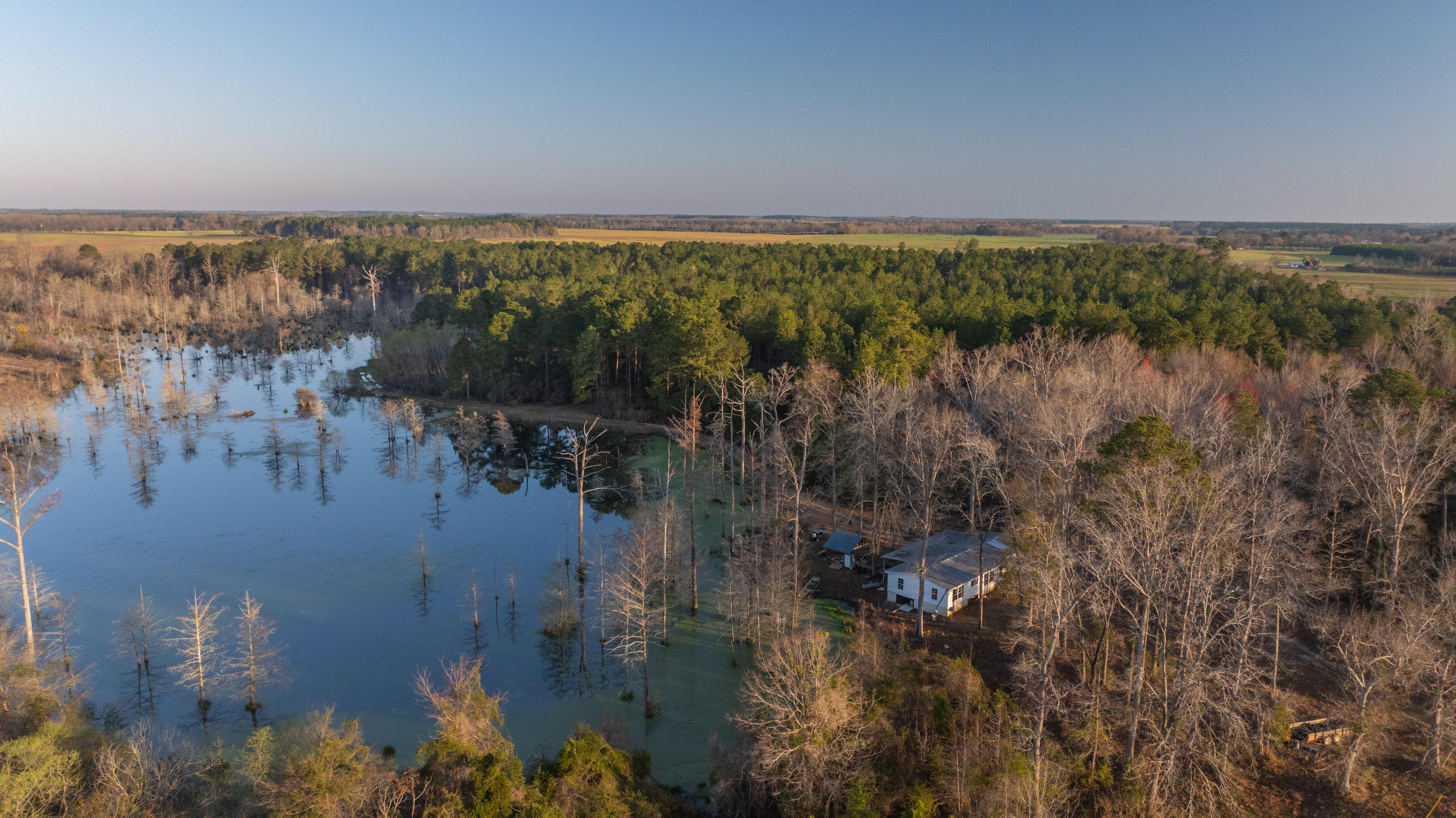 Folds Road, Pineview, GA 31071 | LandWatch