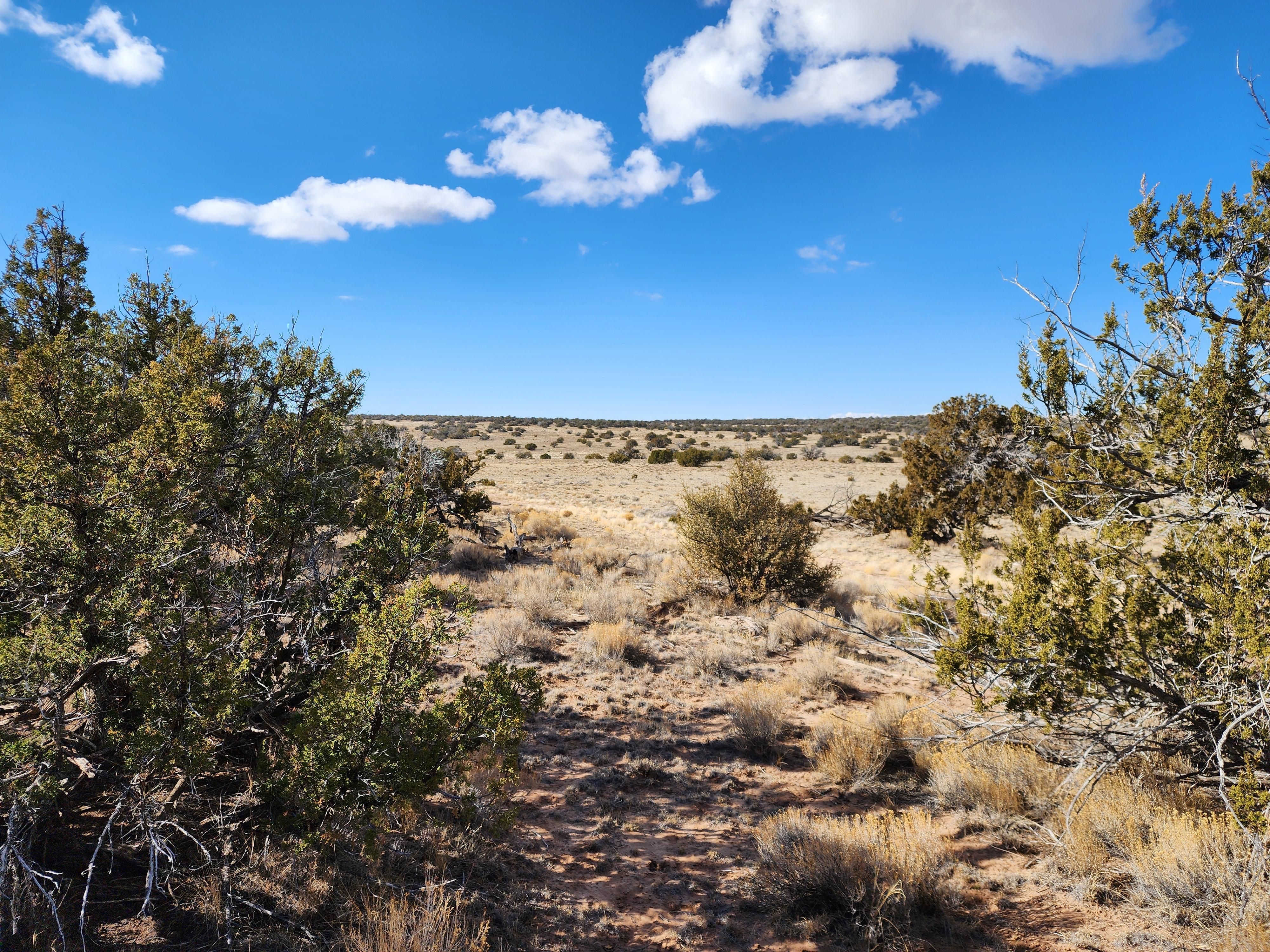 1 acres in Sanders, AZ, 86512 | LandWatch