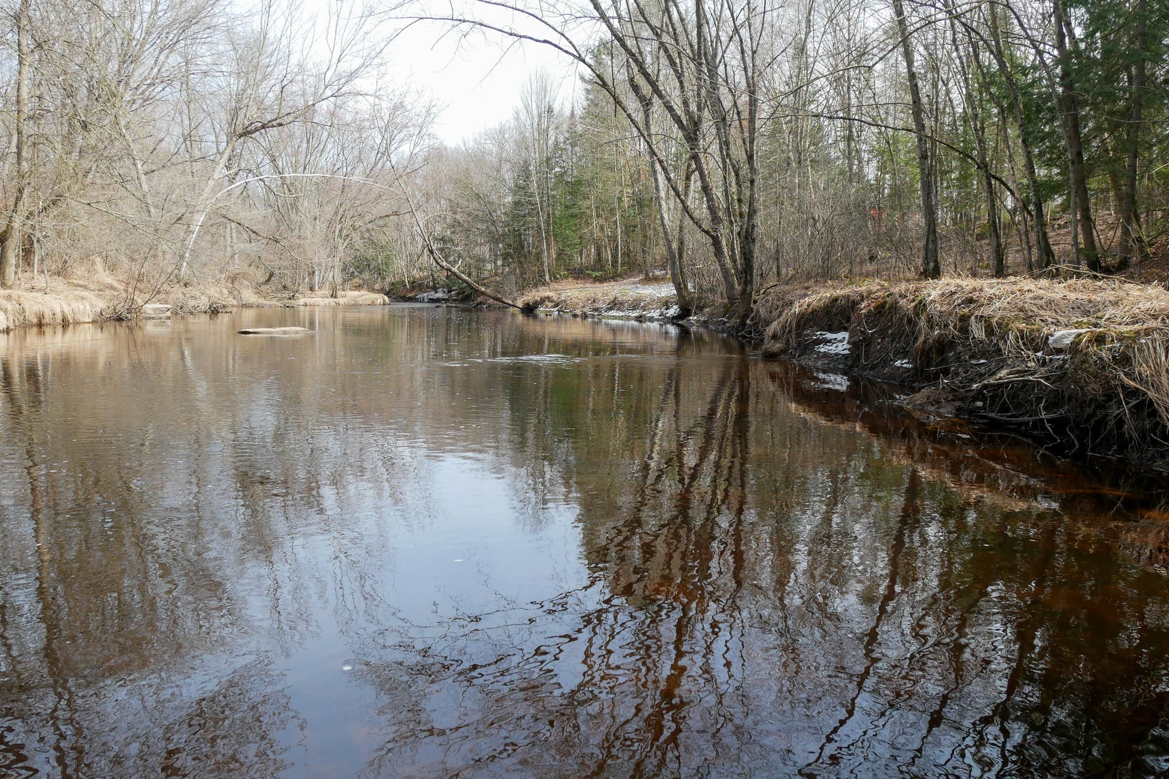 County Road O, Medford, WI 54451 | MLS: 22500999 | LandWatch