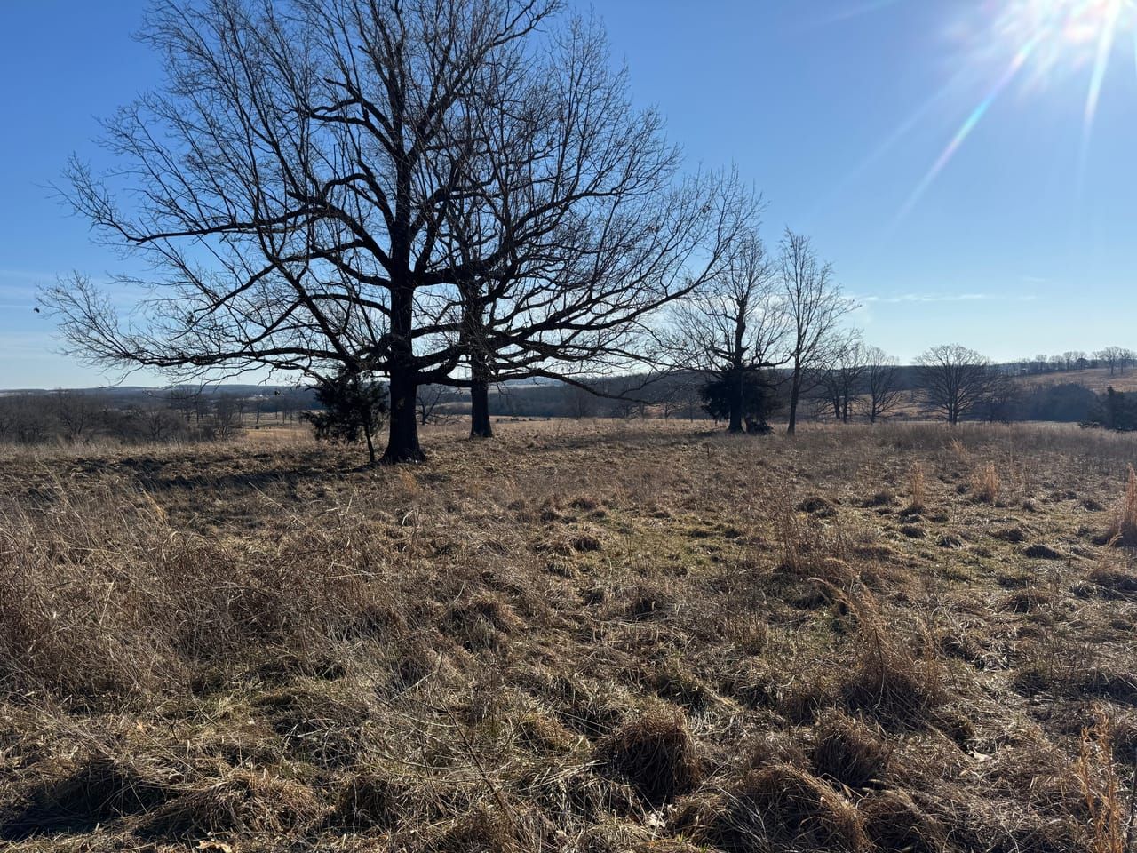 State Hwy TT, Falcon, MO 65470 | LandWatch