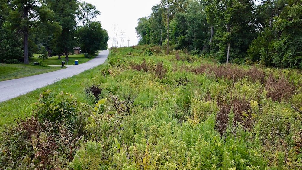 4440 Carson Avenue, Indianapolis, IN 46227 | LandWatch