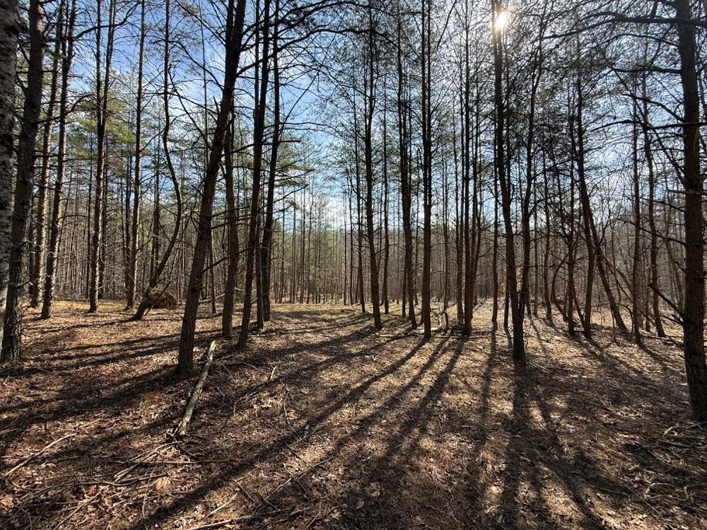 Poplar Bluff Spur Road Lot# Wp001, Stanton, KY 40380 | LandWatch