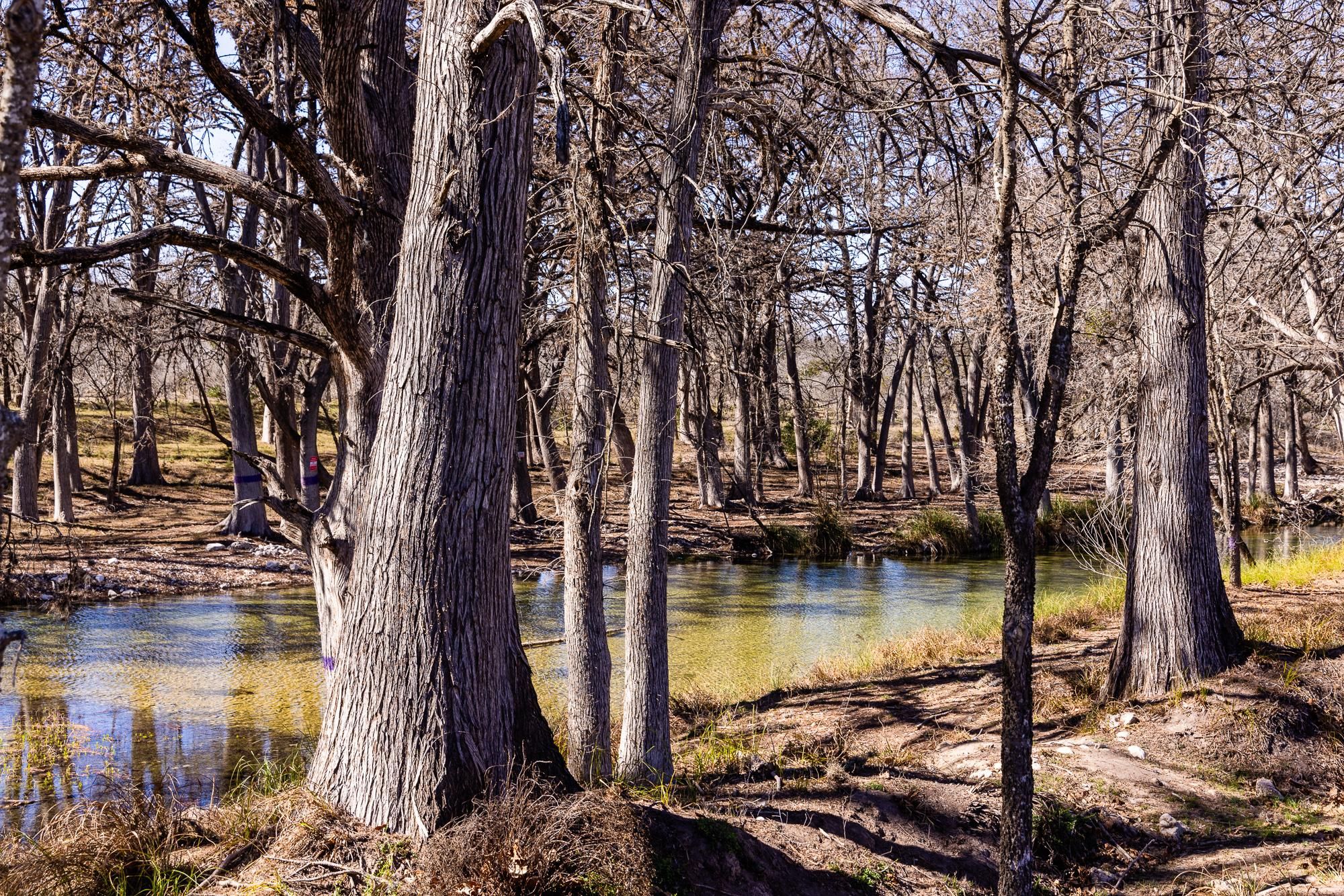 3000 Little Dry Frio Road, Rio Frio, TX 78879 | LandWatch