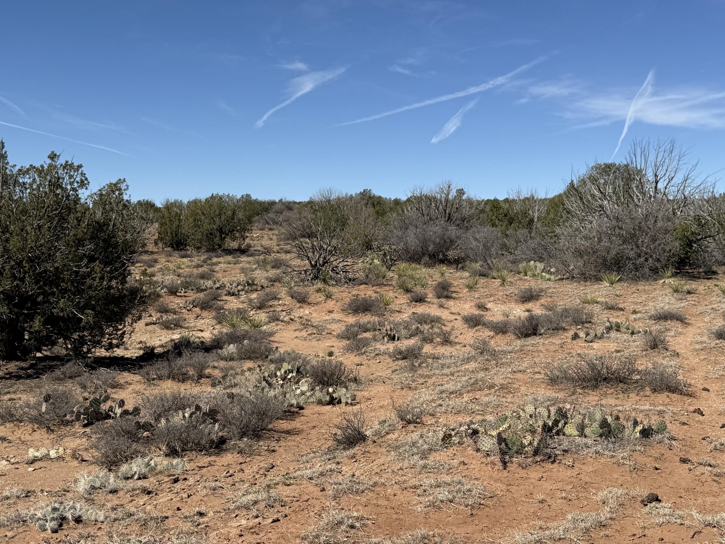 Lot 61 Bull Canyon Loop, Newkirk, NM 88431 | MLS: 1080634 | LandWatch
