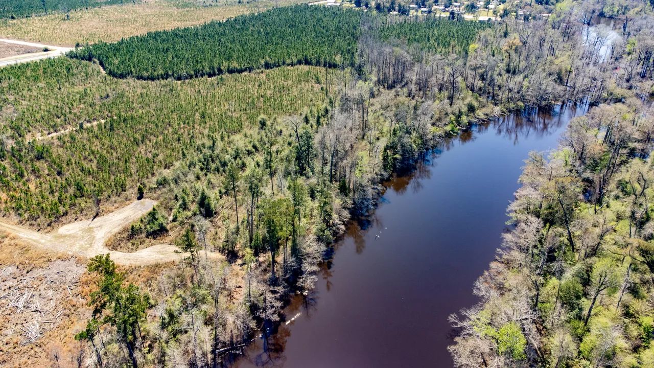 XX6 Iola Rd., Blountstown, FL 32424 | LandWatch