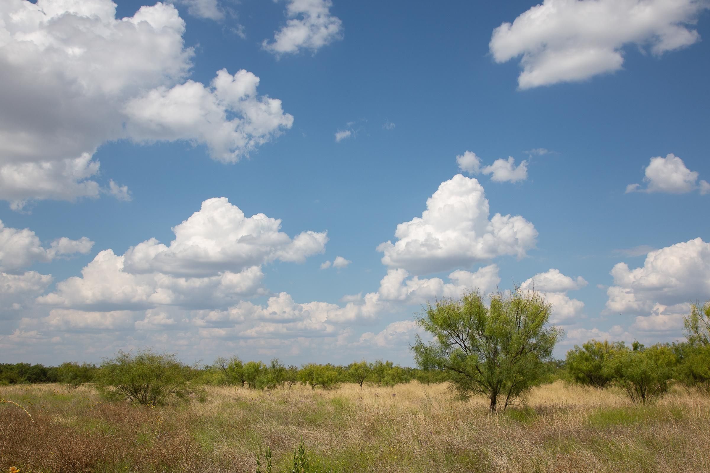 1518 County Rd 356, Doole, TX 76836 | LandWatch