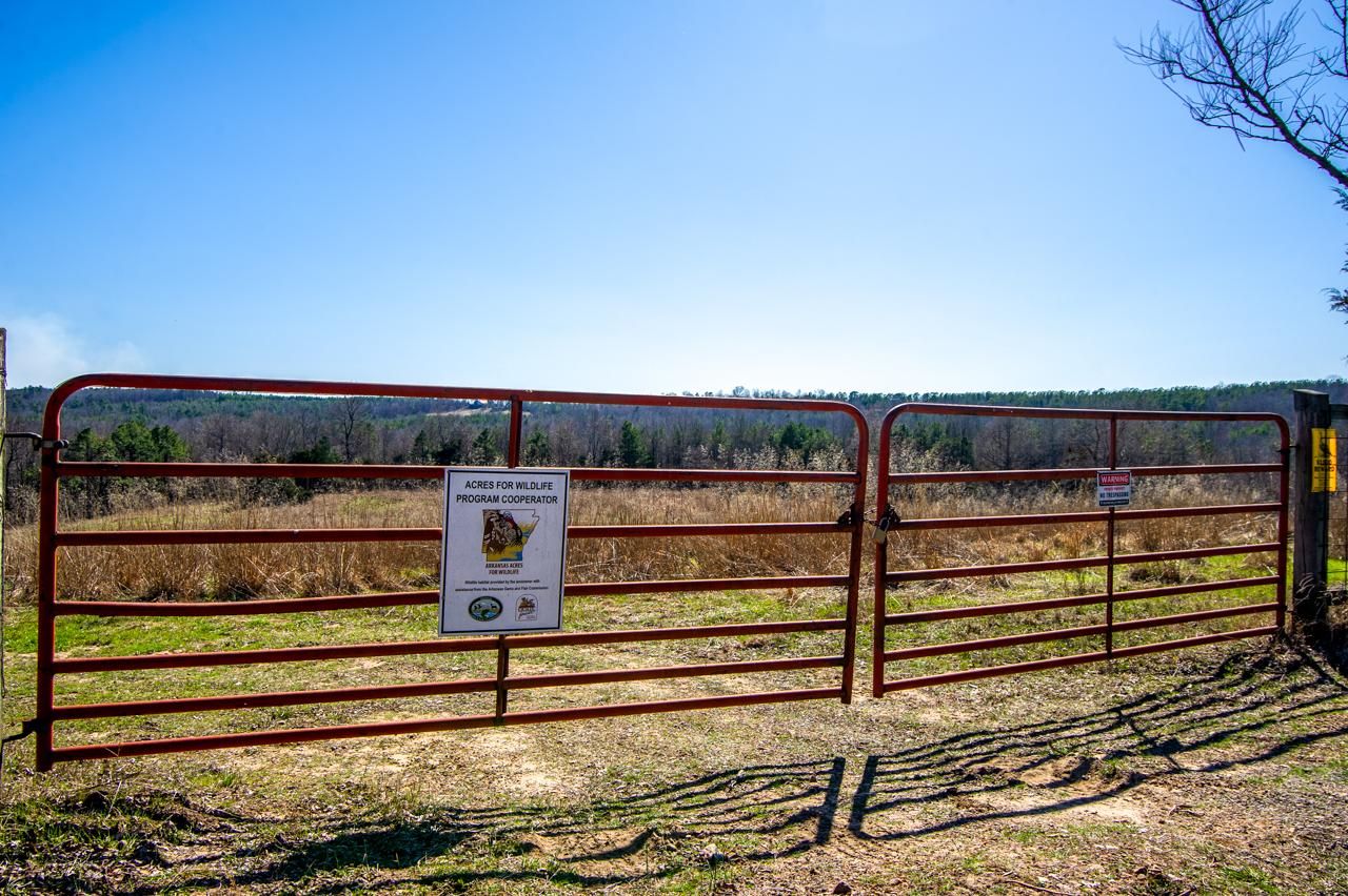 438 Calico Road, Clinton, AR 72031 | MLS: 25009546 | LandWatch