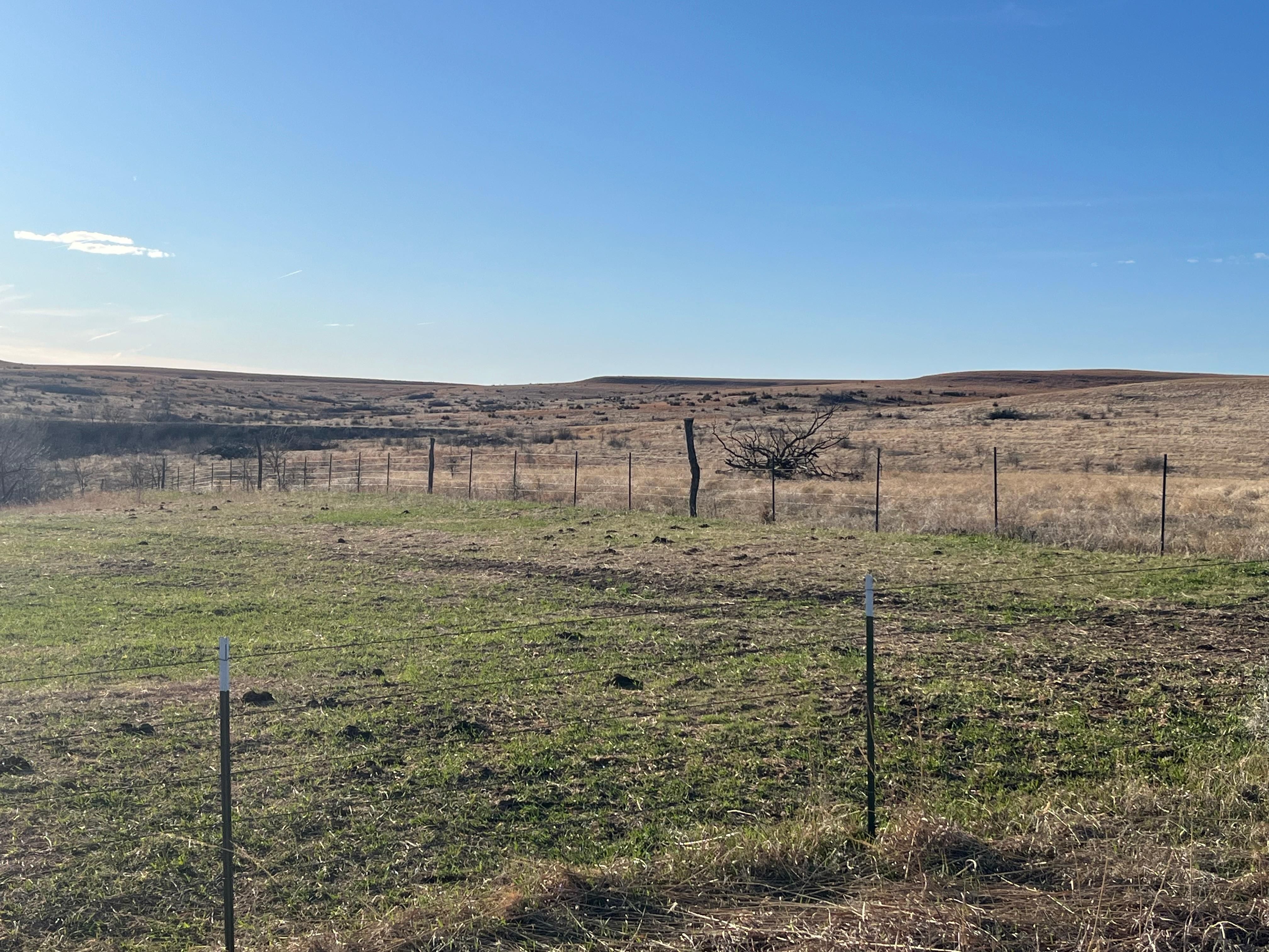 650 acres in Barnard, KS, 67418 | LandWatch