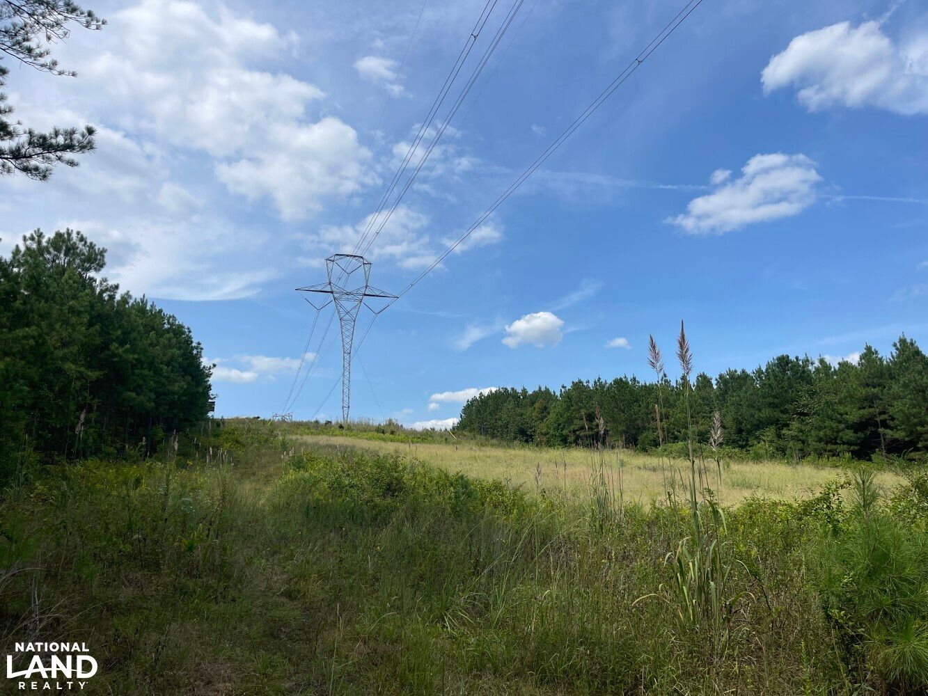 6021 Griffintown Road, West Blocton, AL 35184 | LandWatch