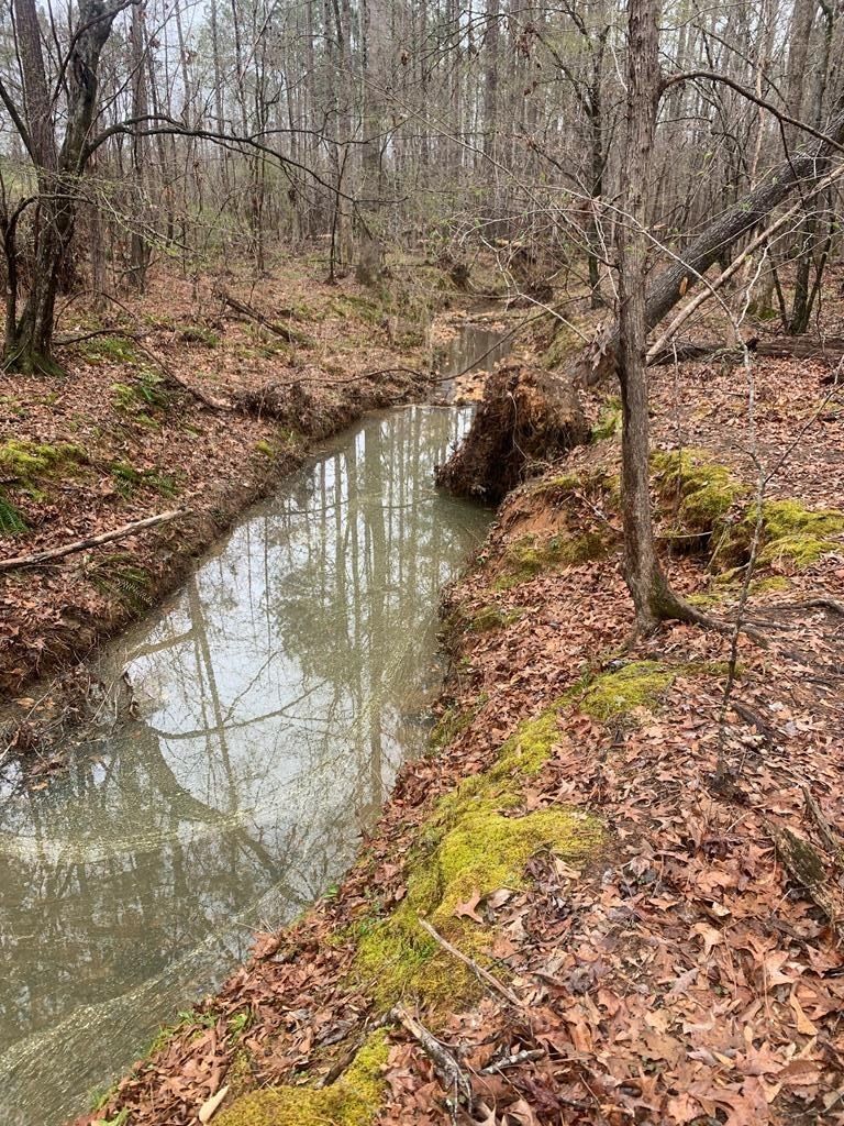 817 Flint Hill Chr Rd TRACT B, Troy, SC 29848 | MLS: 132350 | LandWatch