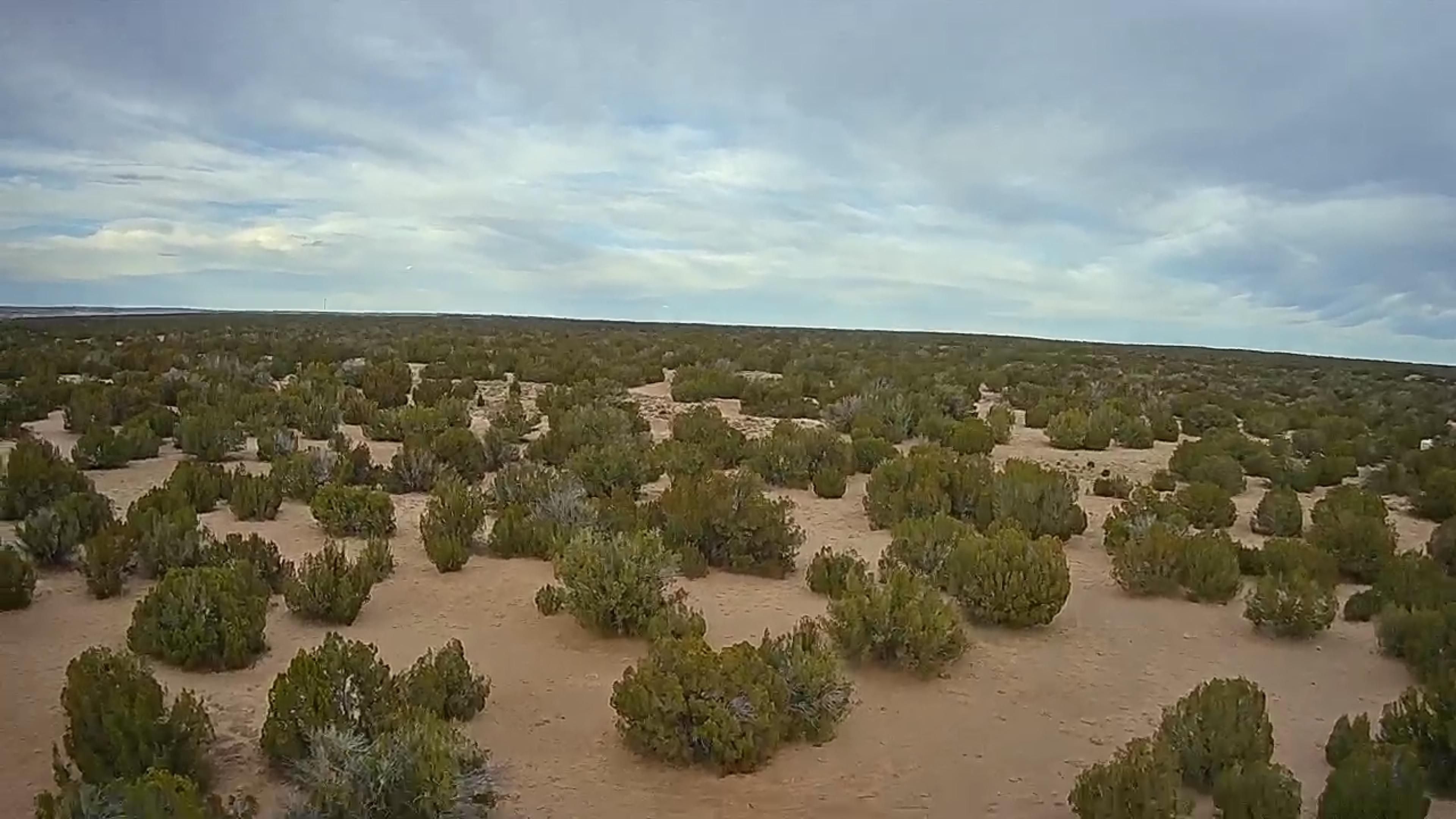 10 acres in Chambers, AZ, 86502 | LandWatch