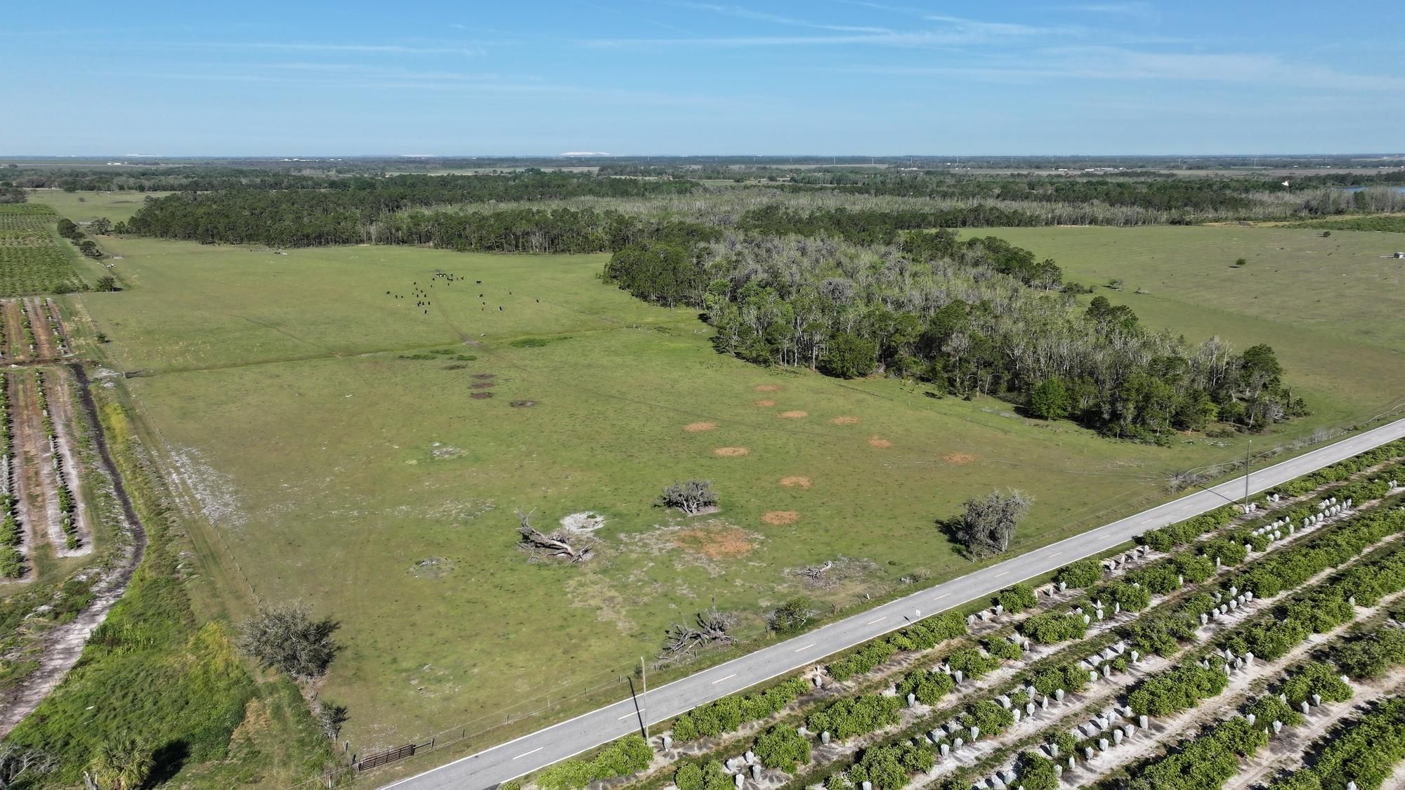 Gabriel Road, Fort Meade, FL 33841 | LandWatch