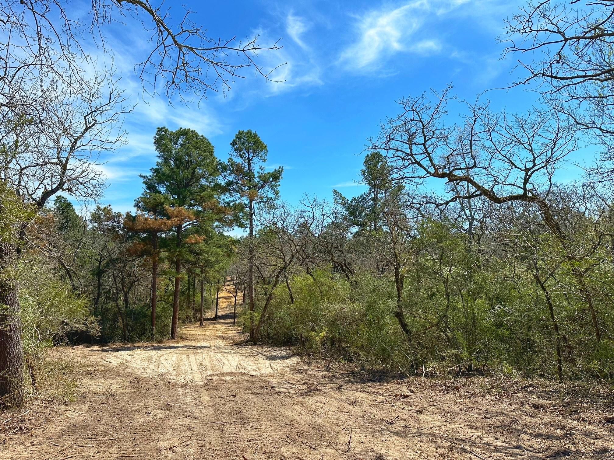 County Road 292, BUFFALO, TX 75831 | LandWatch