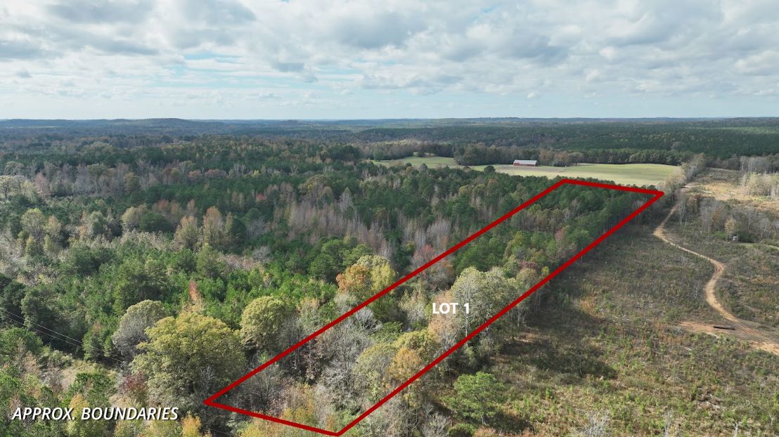 Spring Hill Rd, Nauvoo, AL 35578 | LandWatch