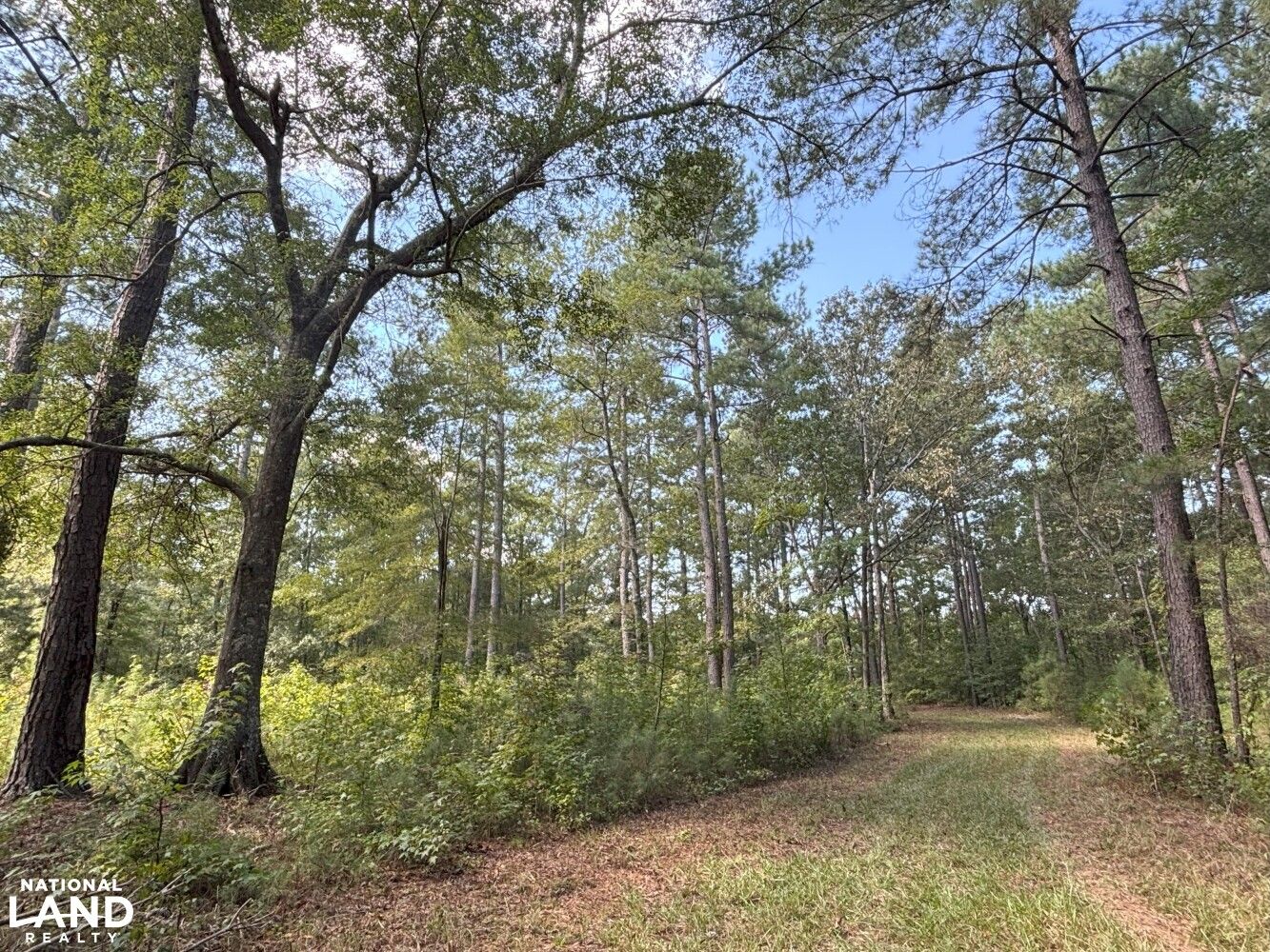 0 Shortcut Road, Cross, SC 29436 | LandWatch
