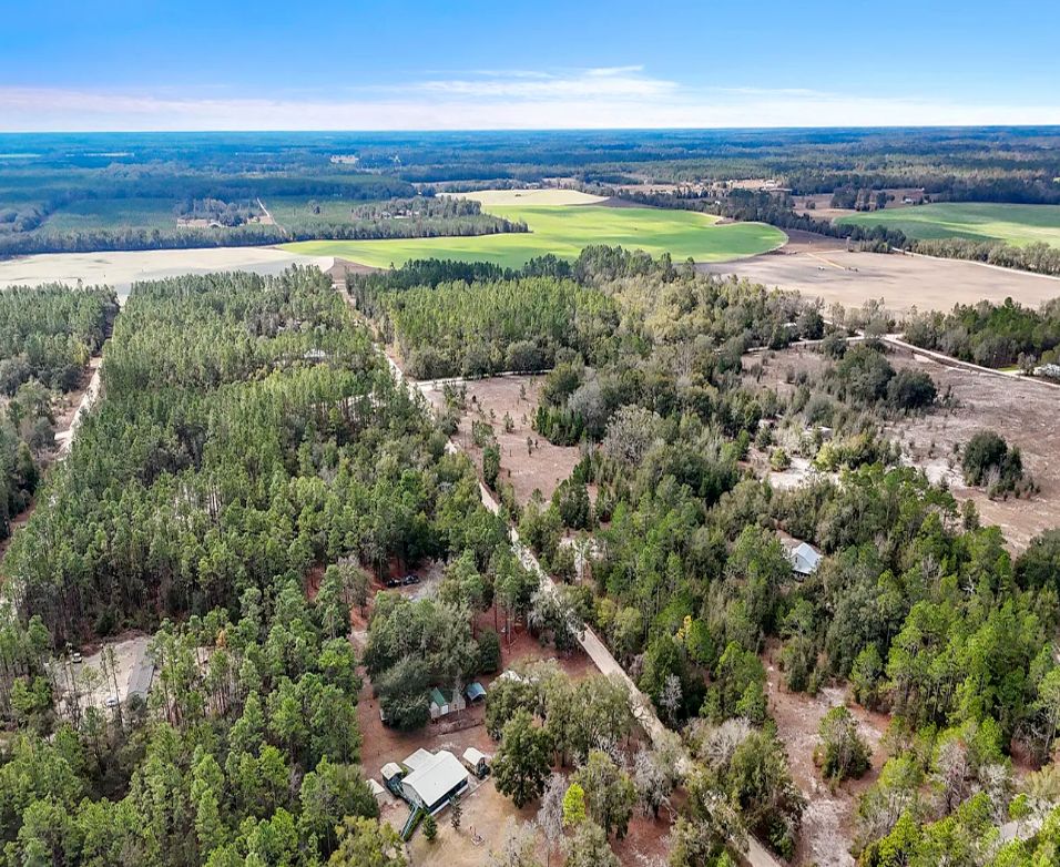 NW 17th Ct, Bell, FL 32619 | LandWatch