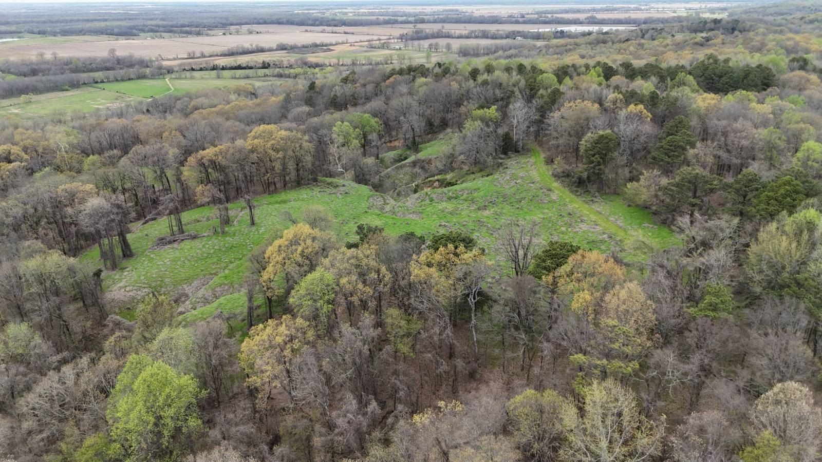 4000 MS HWY 35 CASCILLA, Cascilla, MS 38920 | MLS: 11458064 | LandWatch