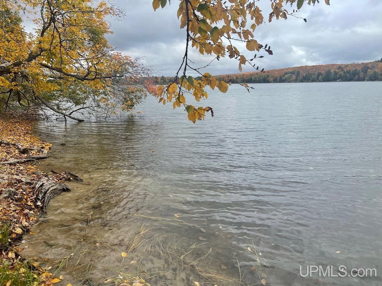 TBD University, Iron River, MI 49935 | MLS: 50169768 | LandWatch