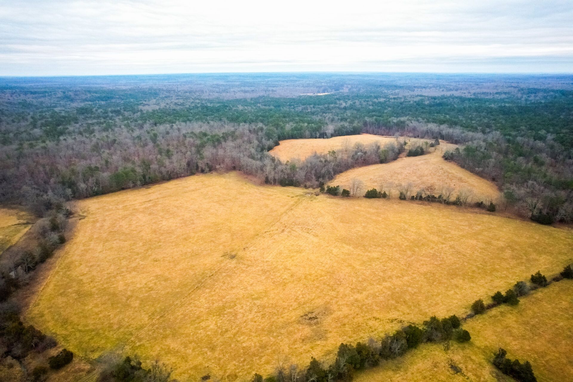 59 Acres, Shannon County, MO, Birch Tree, MO 65438 | LandWatch