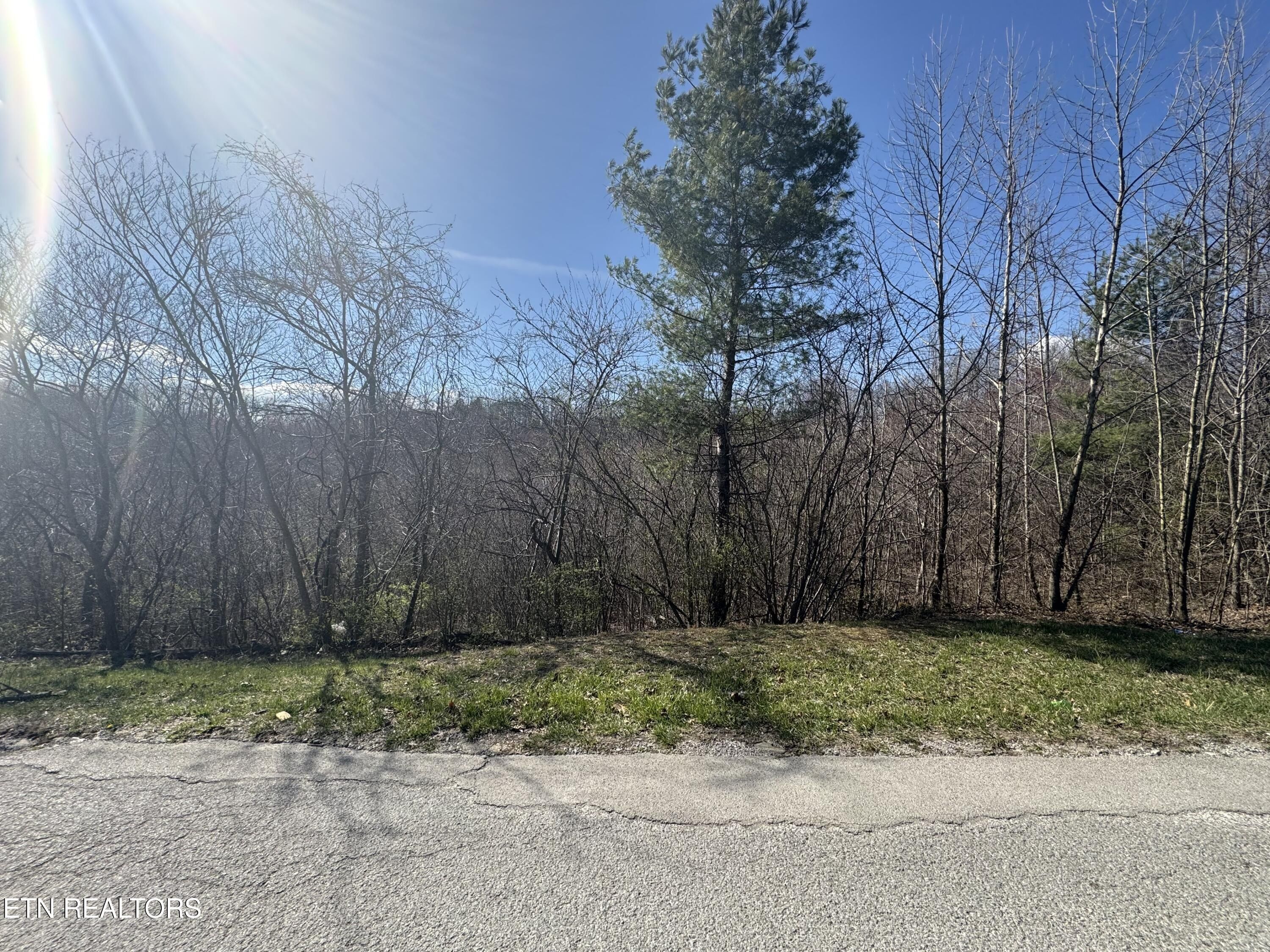 Grape Rough Rd, Oneida, TN 37841 | MLS: 1294879 | LandWatch