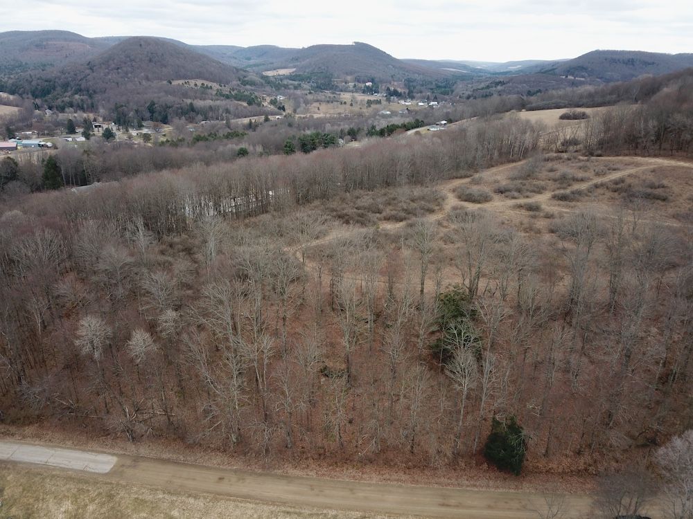 Cemetery Road, Lot#WP001, Genesee, PA 16923 | LandWatch