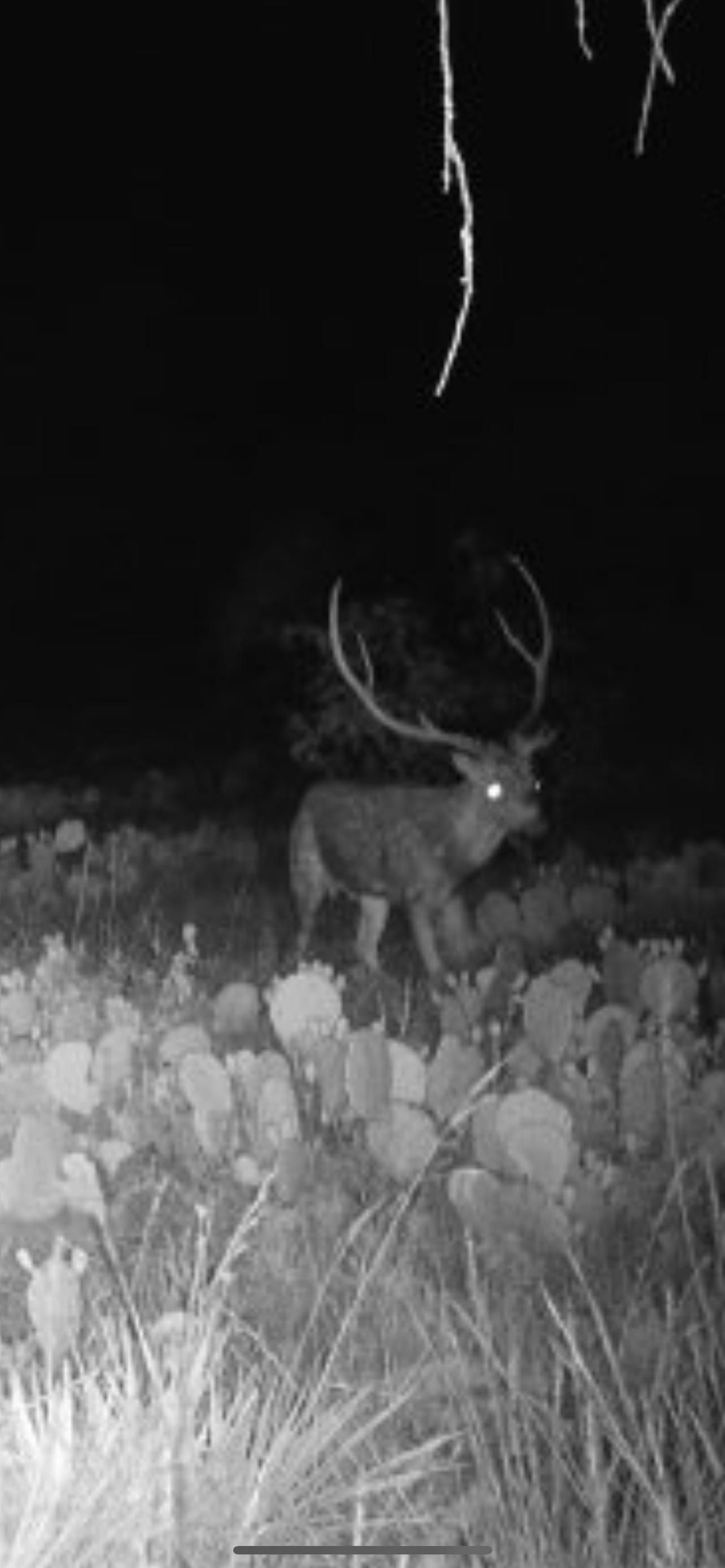 43 Cave Wells Rd, Menard, TX 76859 | LandWatch